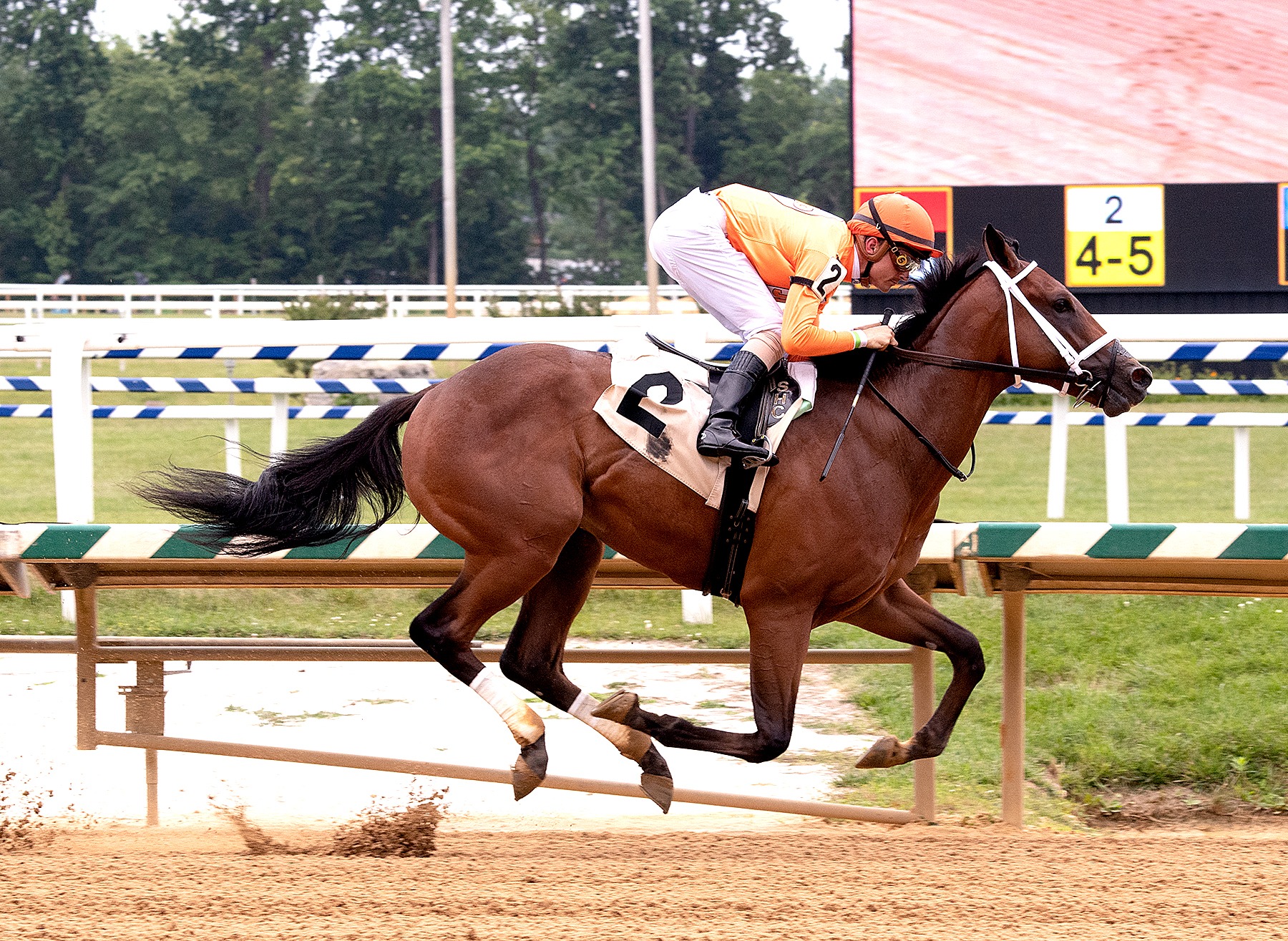 Journeyman Sheldon Russell ‘Thrilled’ to Be Back Riding - Past The Wire