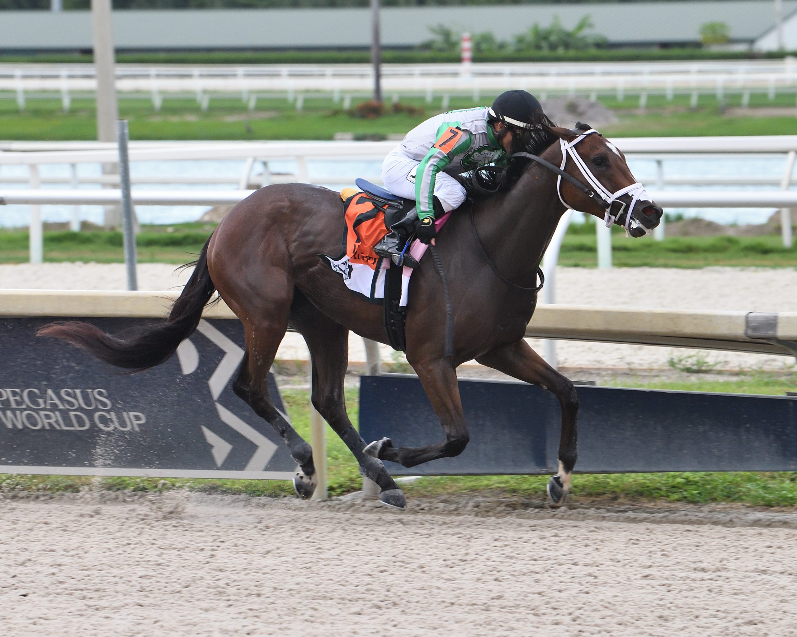 Octane Set for Long - Awaited Return in Carry Back - Florida Sire ...