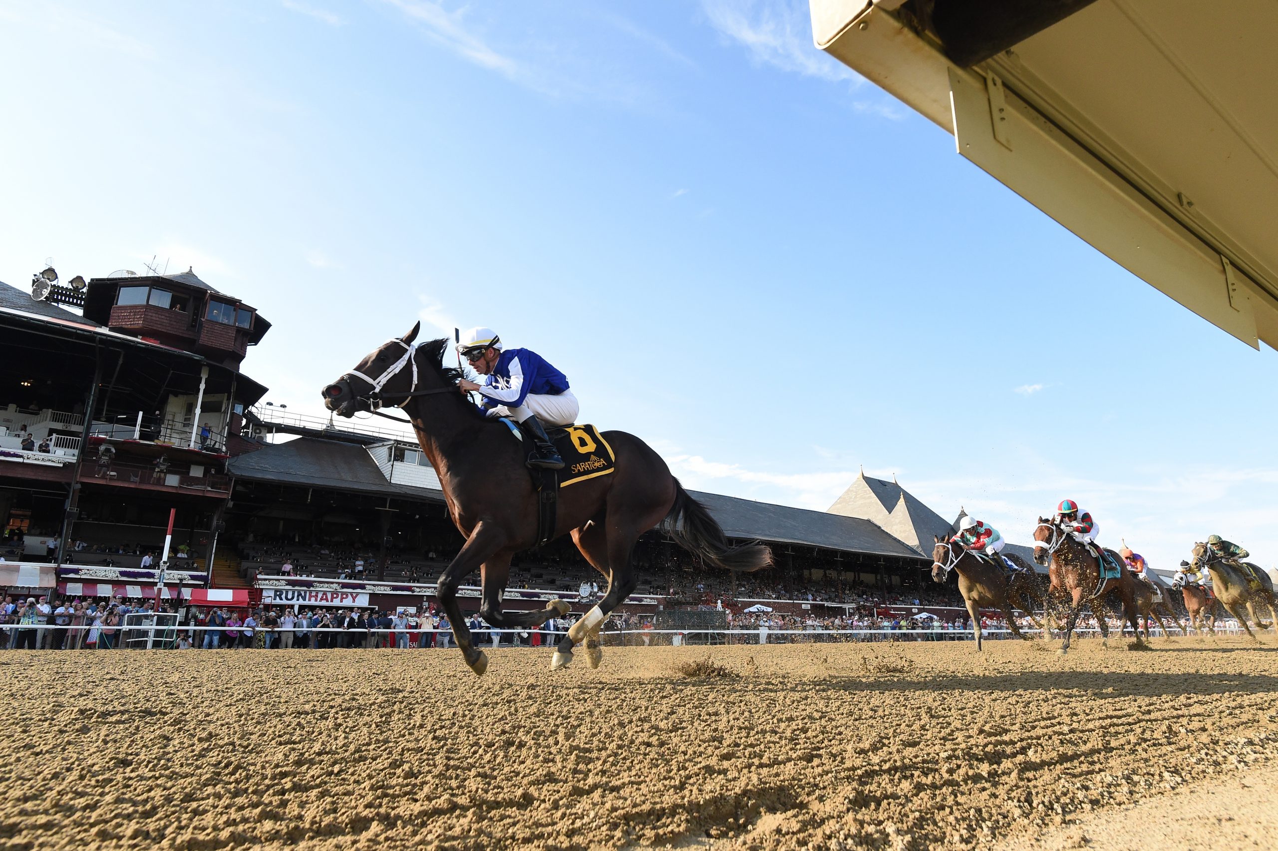 OBS Spring Sale’s Under Tack Show begins Sunday, watch live on Past the ...