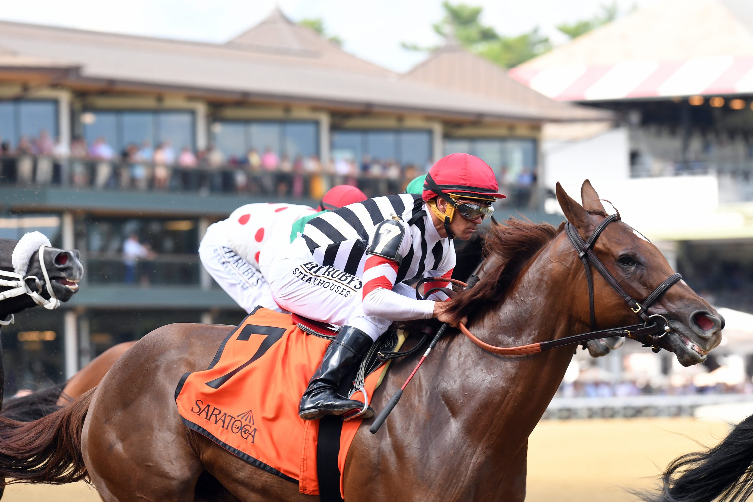 Tarabi sharply scores first stakes in Wilton - Past The Wire