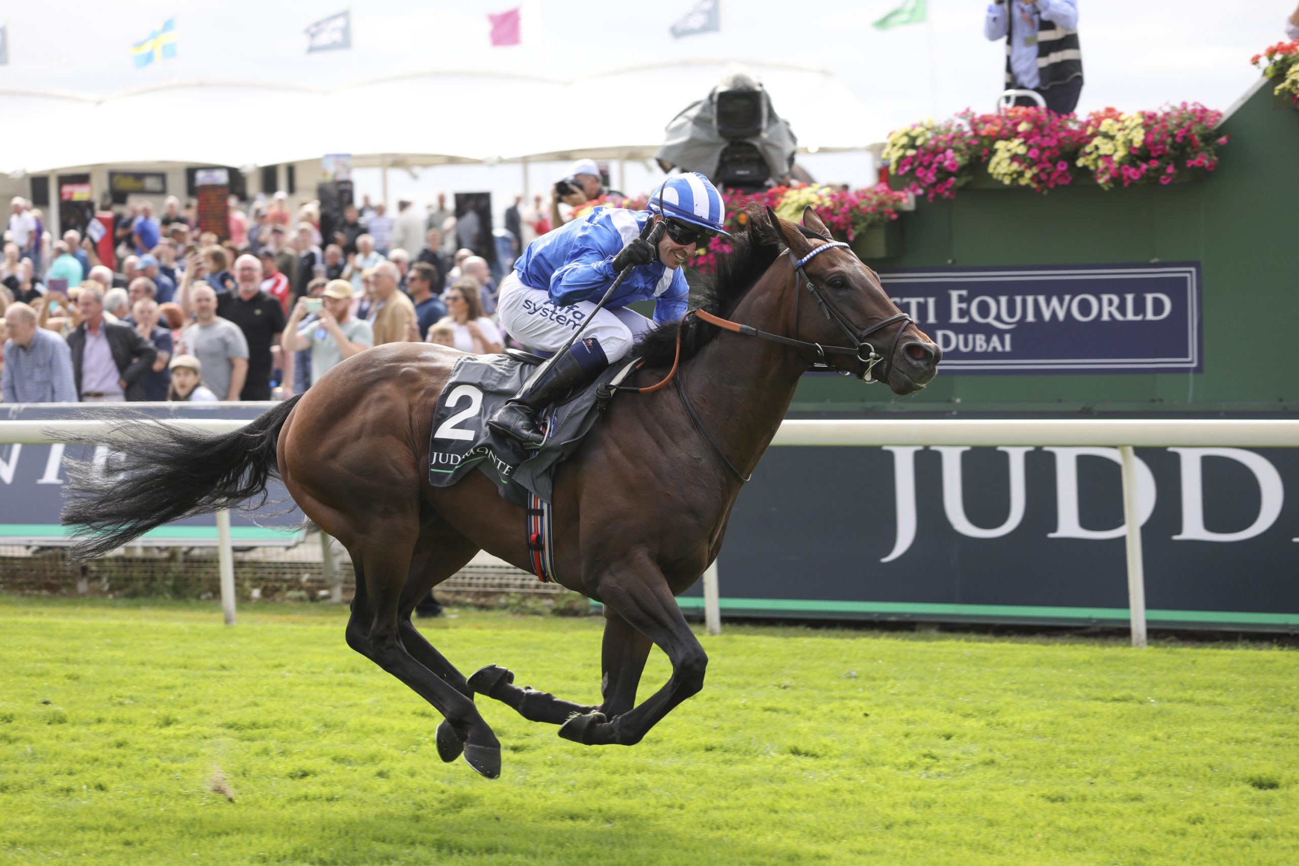 Baaeed Makes It a Perfect 10 in Juddmonte International - Past The Wire