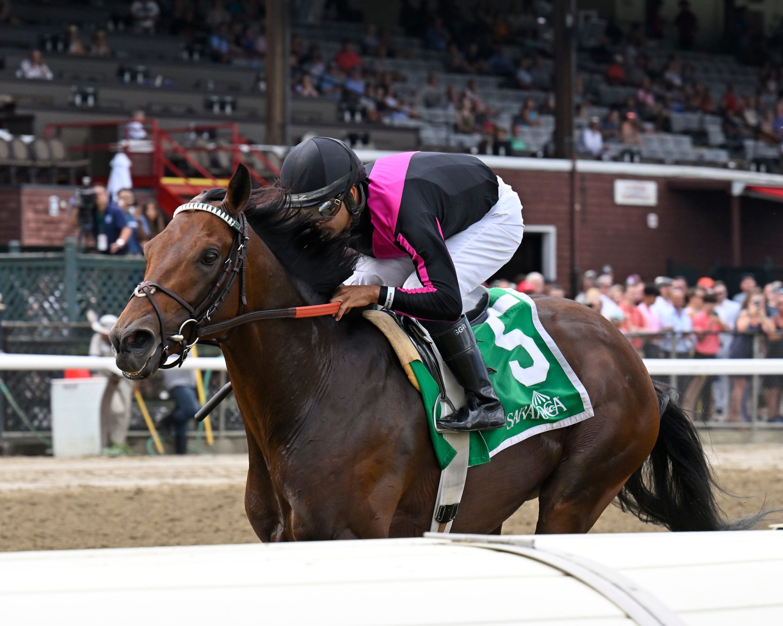 Art Collector Scores Repeat Victory in $135K Alydar - Past The Wire