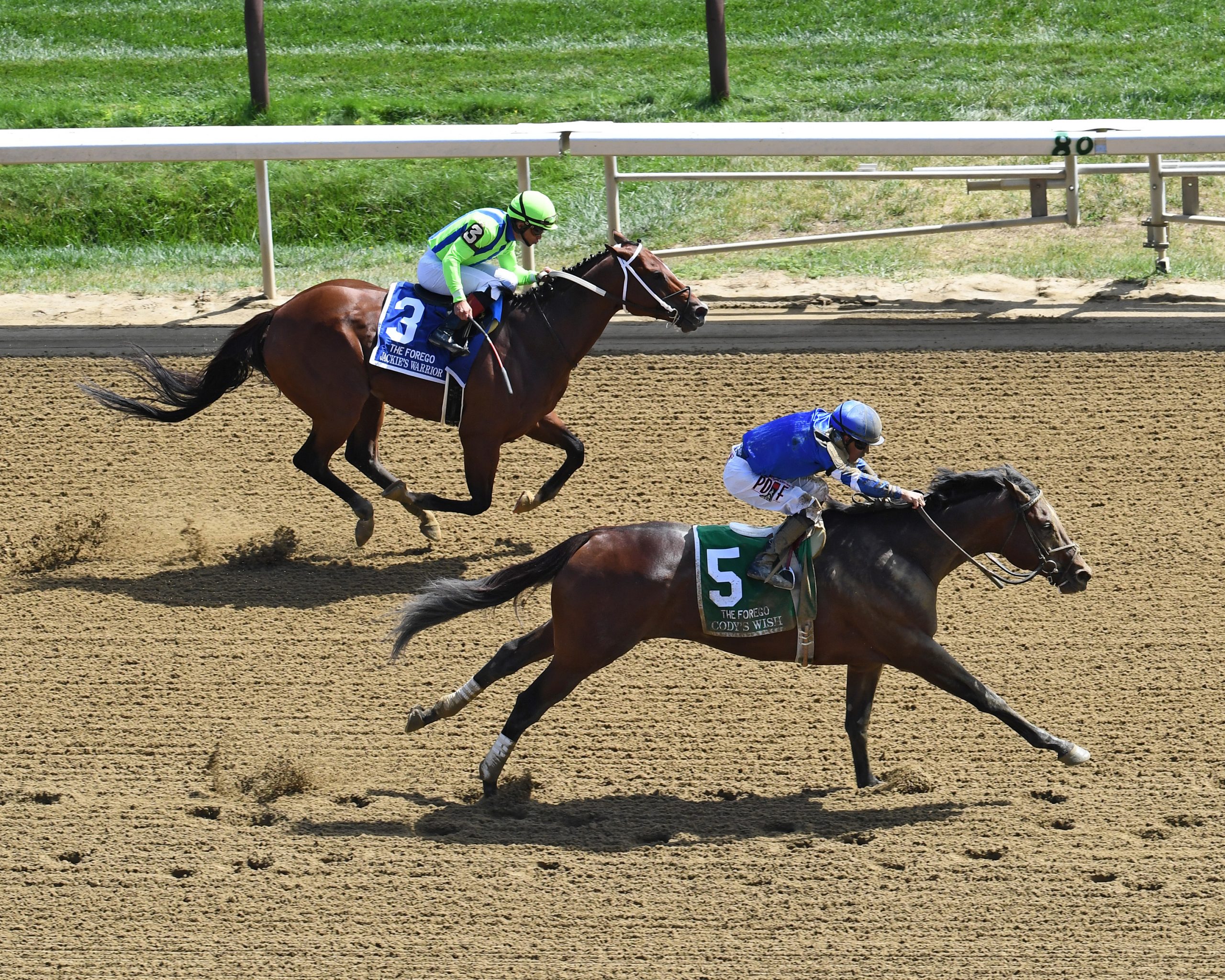 The Forego: All Strategy - Past The Wire