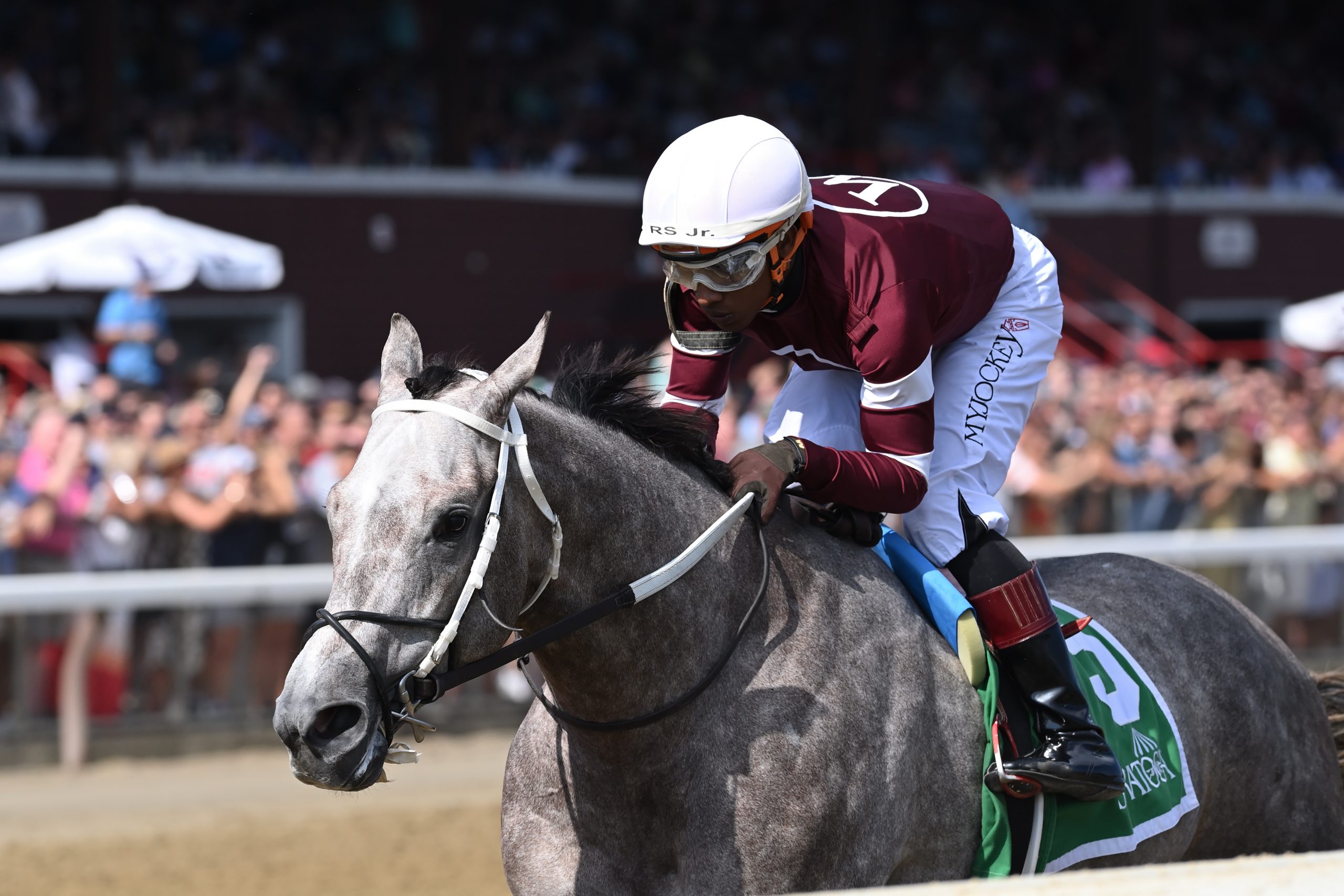 Echo Again Earns 94 Beyer in Debut Triumph - Past The Wire