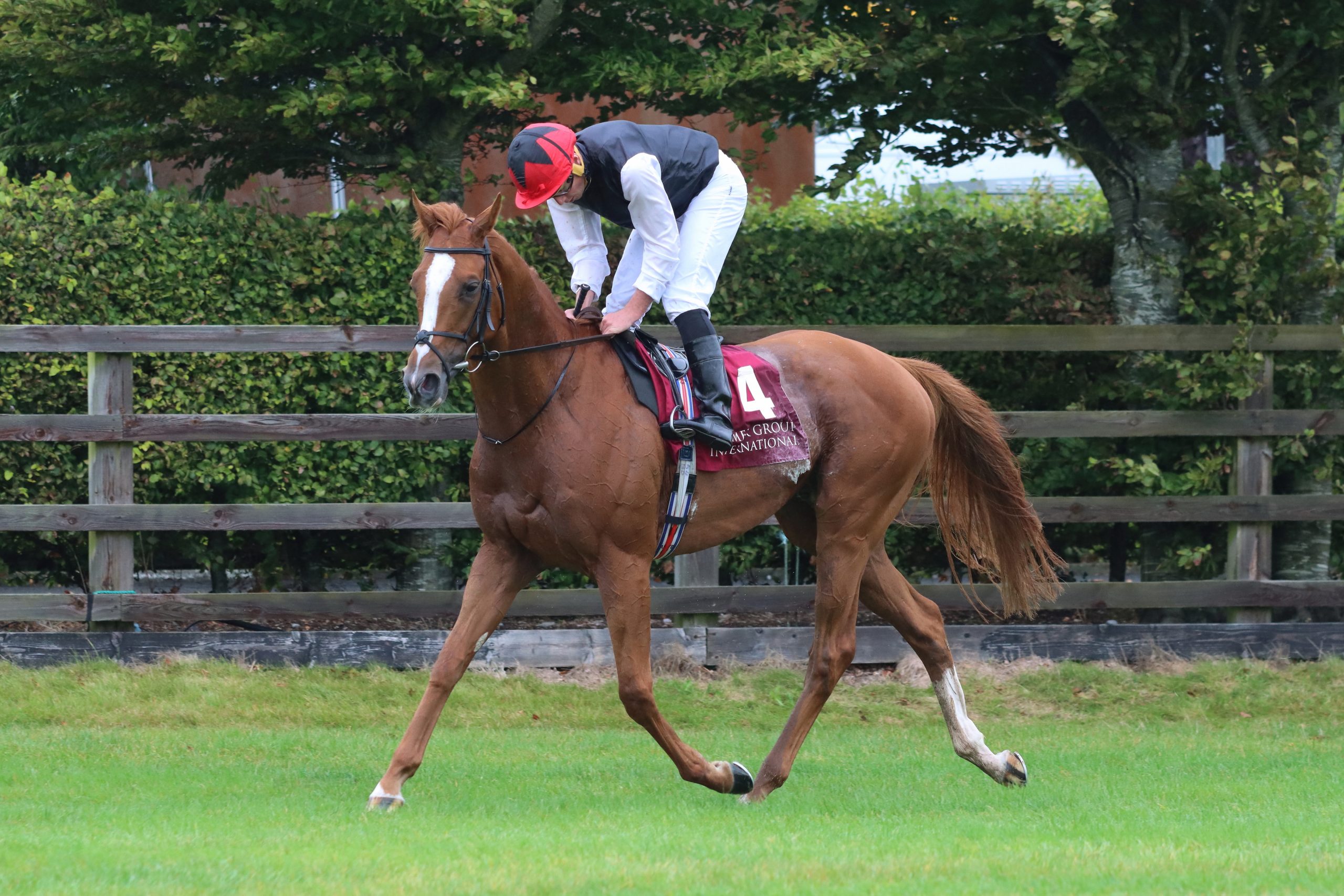 Three 2022 Group 1 wins for Kyprios as he lands Comer Group ...