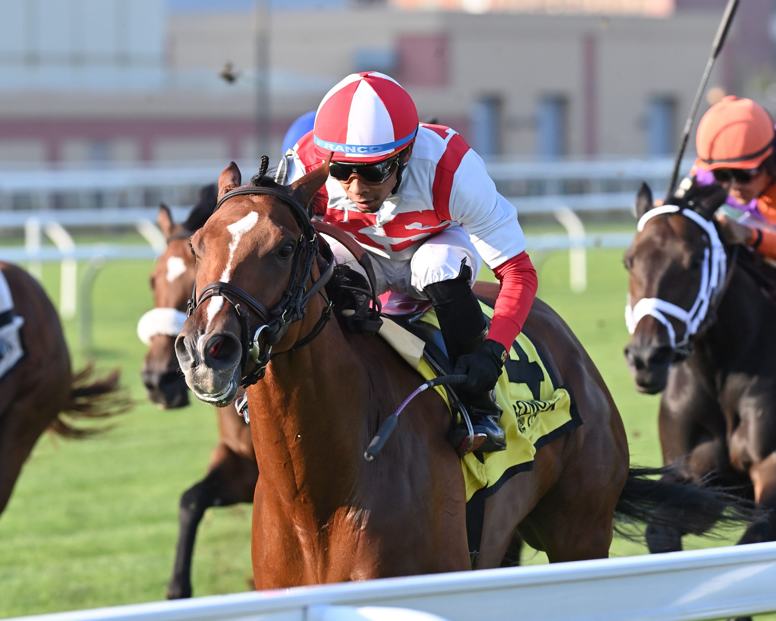 Faith in Humanity Leads Brown-Trained Trifecta in G3 Pebbles - Past The ...