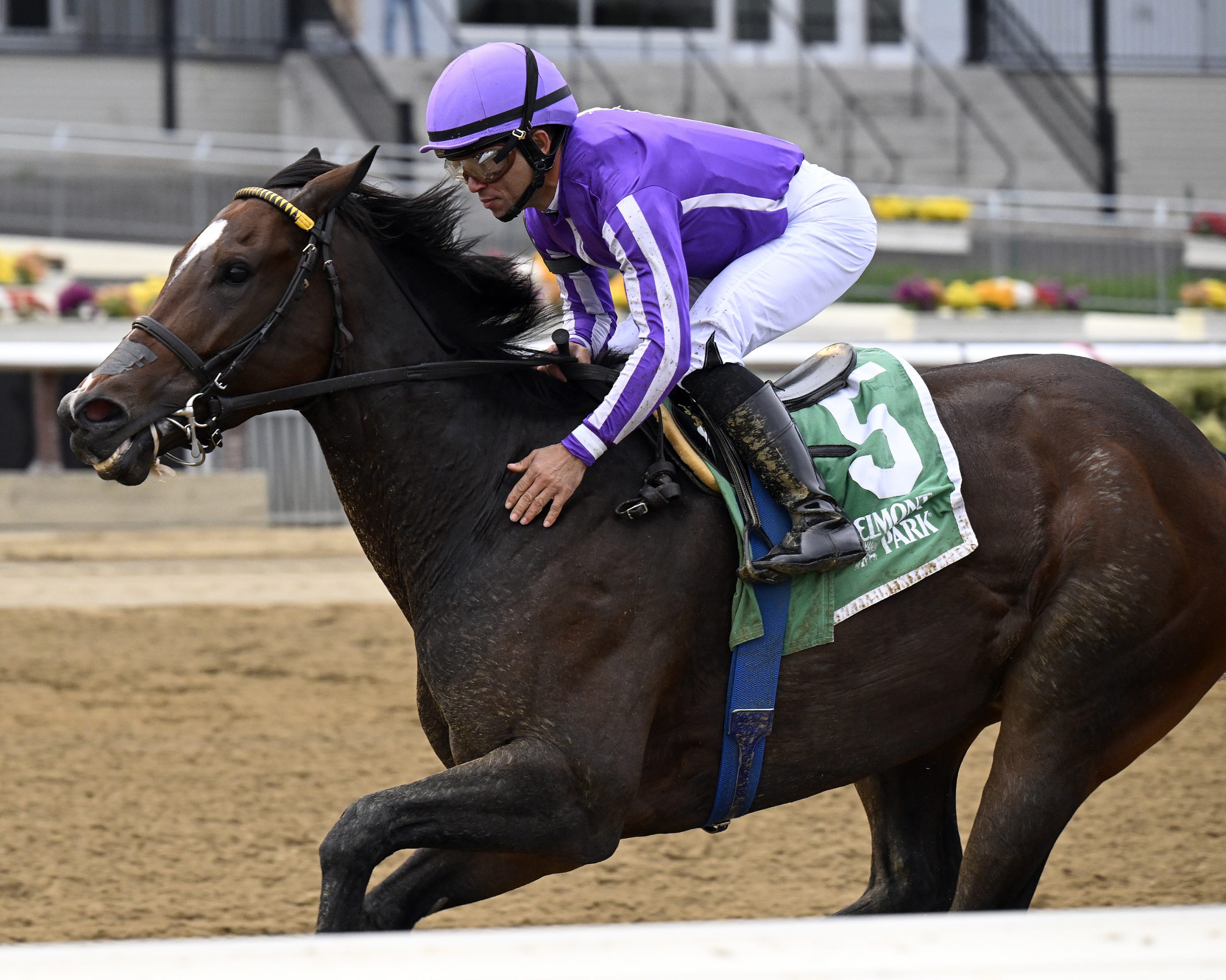 Kimari Much the Best in Grade 2 Gallant Bloom - Past The Wire