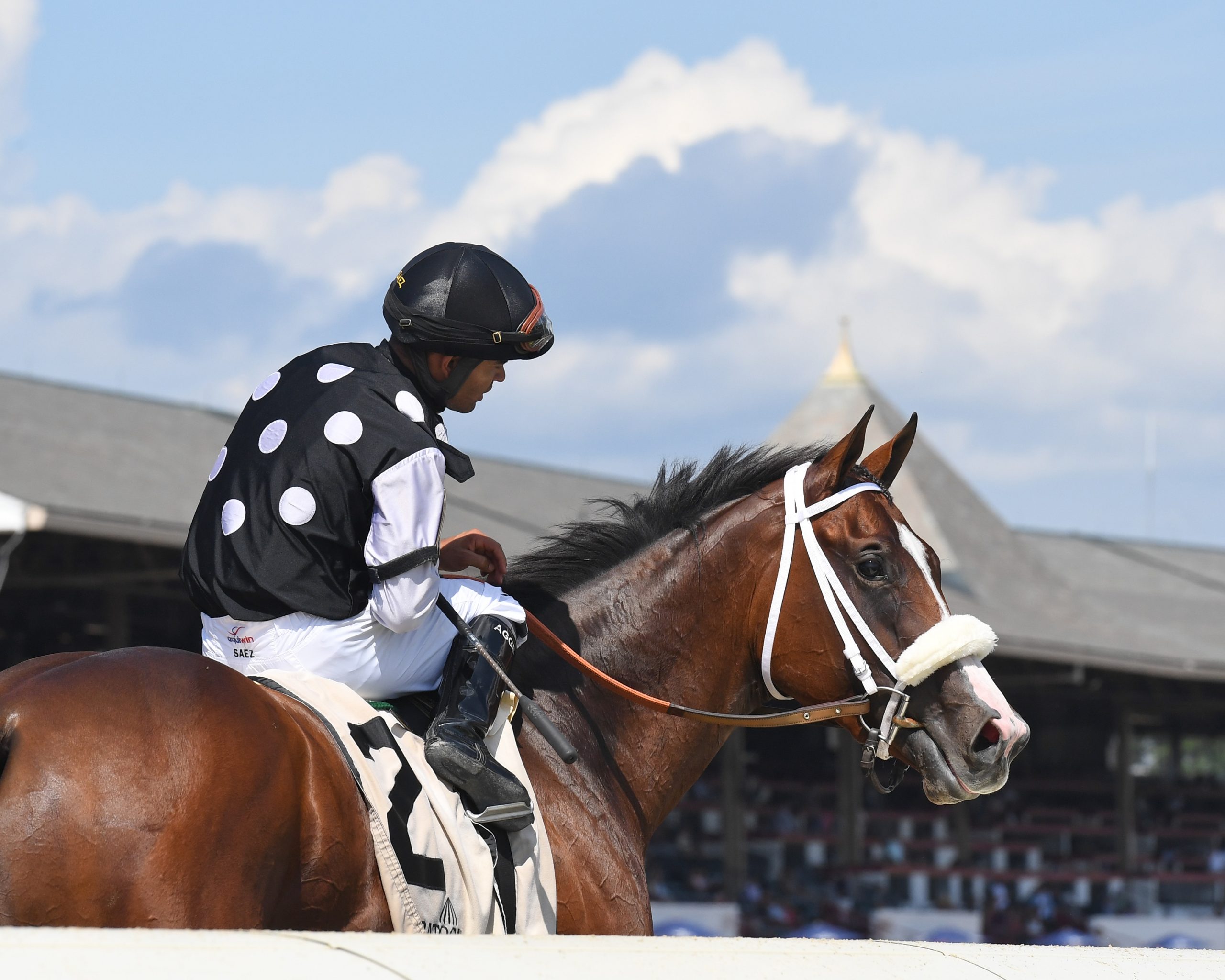 Naughty Gal Leads Talented Field of Juvenile Fillies in G1 Spinaway ...