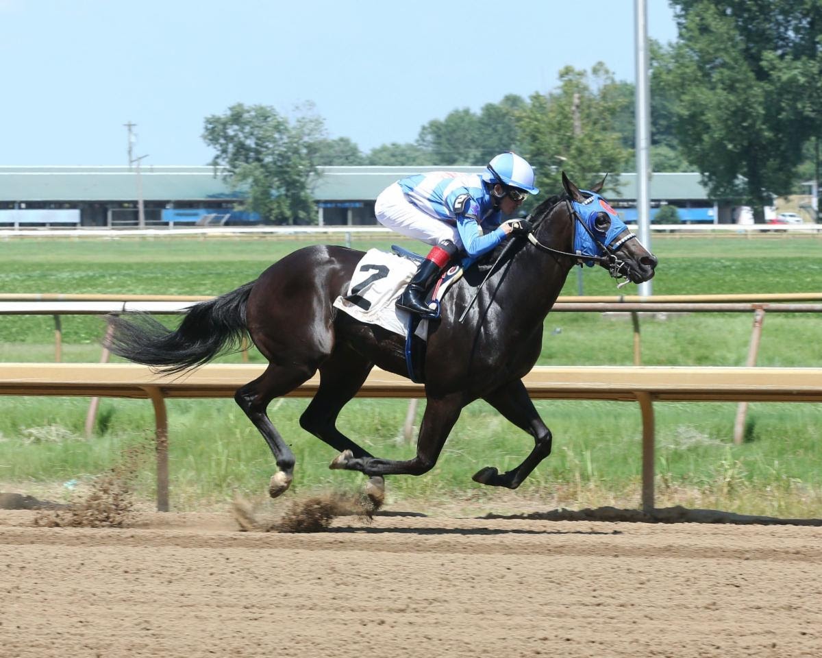 Can ‘Johnny’ Top Kitodan’s Big Win for Foster? - Past The Wire