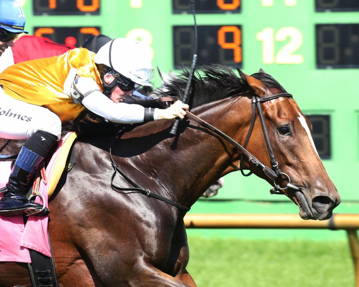 Apprentice Jockey Gets Shot at $1 Million, Grade 3 Stakes - Past The Wire