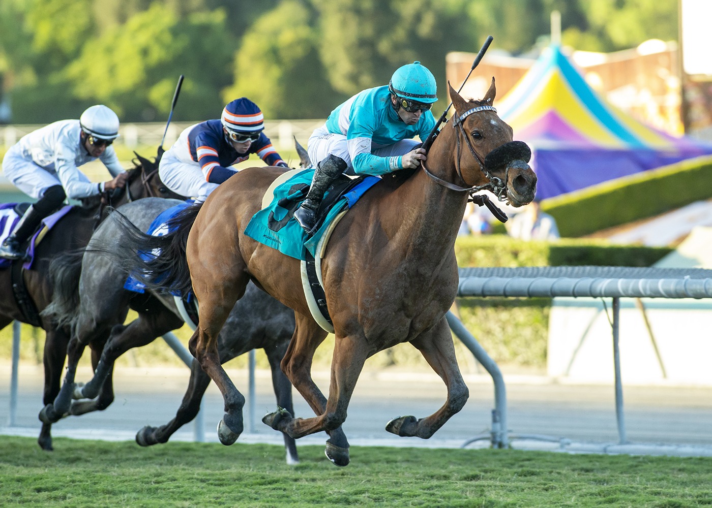 Amy C Swooshes Past Pacesetters for Senator Ken Maddy Win - Past The Wire