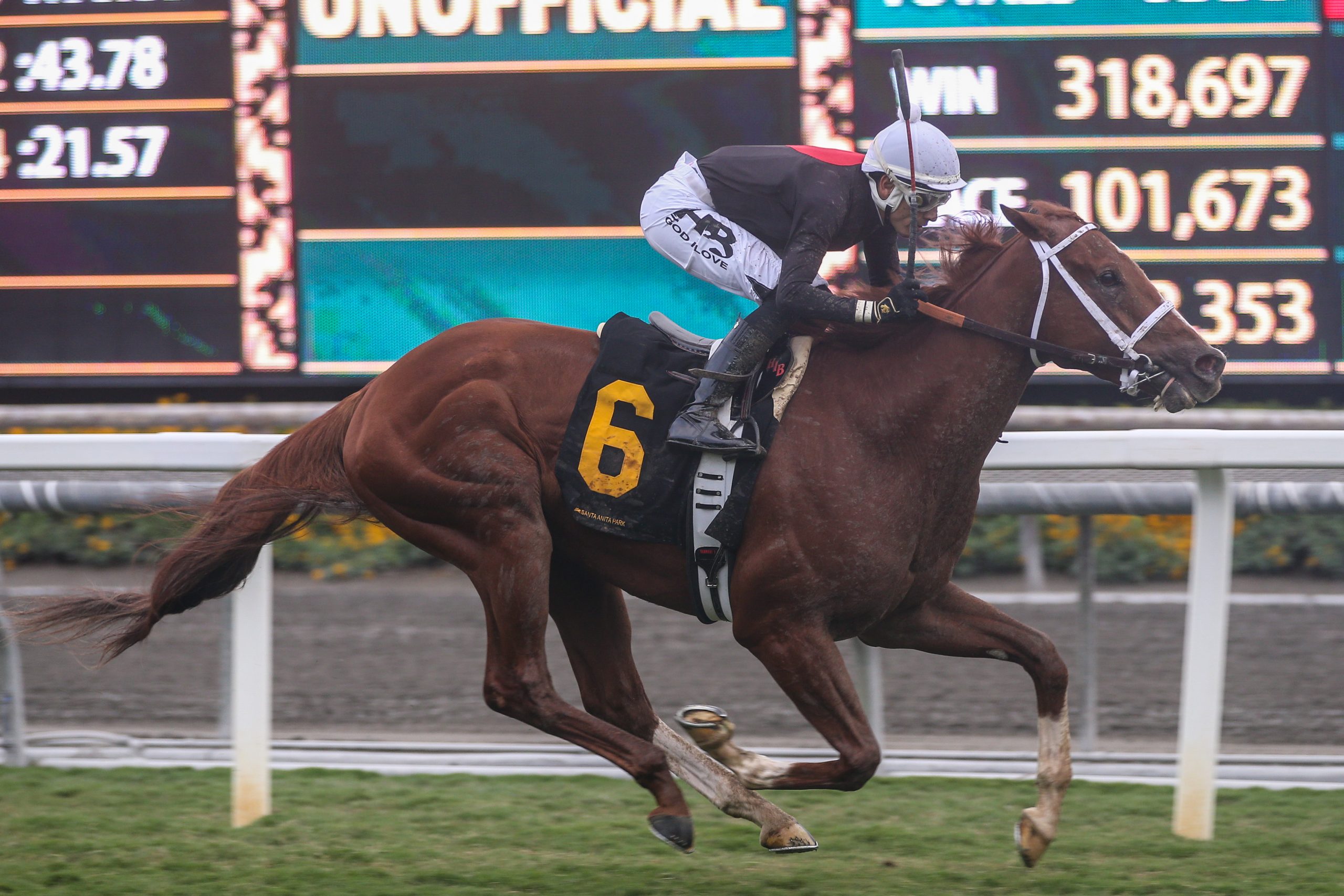 Upcoming Races: How to Read a Horse Racing Program? - Past The Wire