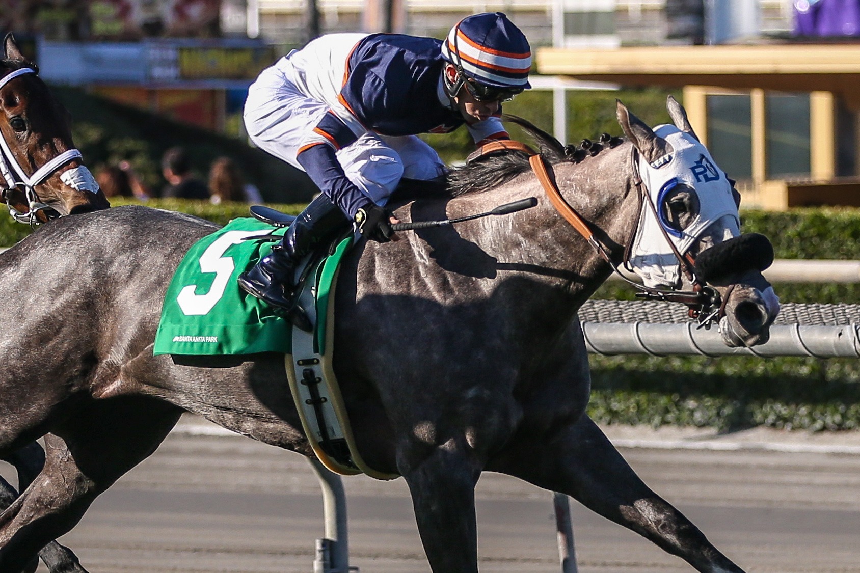 Connie Swingle Takes It to the Hill in the Unzip Me - Past The Wire