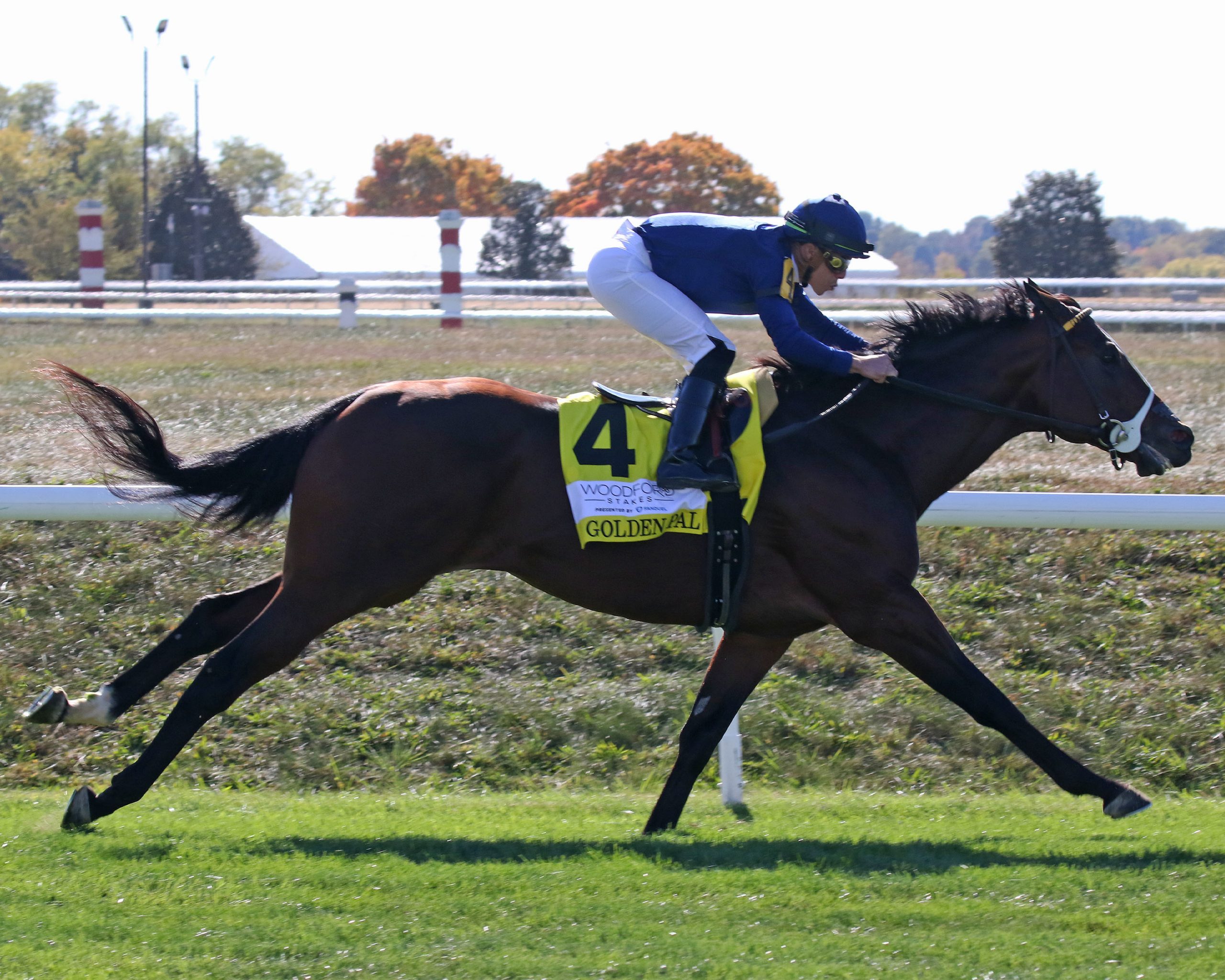 Bits and Pieces: Breeders’ Cup Turf Sprint - Past The Wire