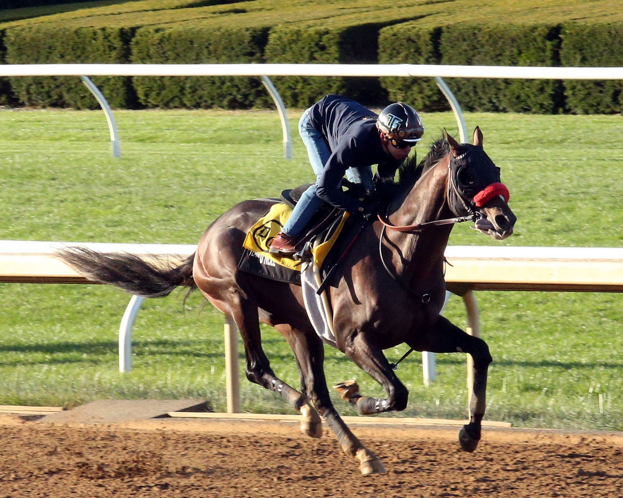Hot Rod Charlie has Classic Work At Keeneland - Past The Wire