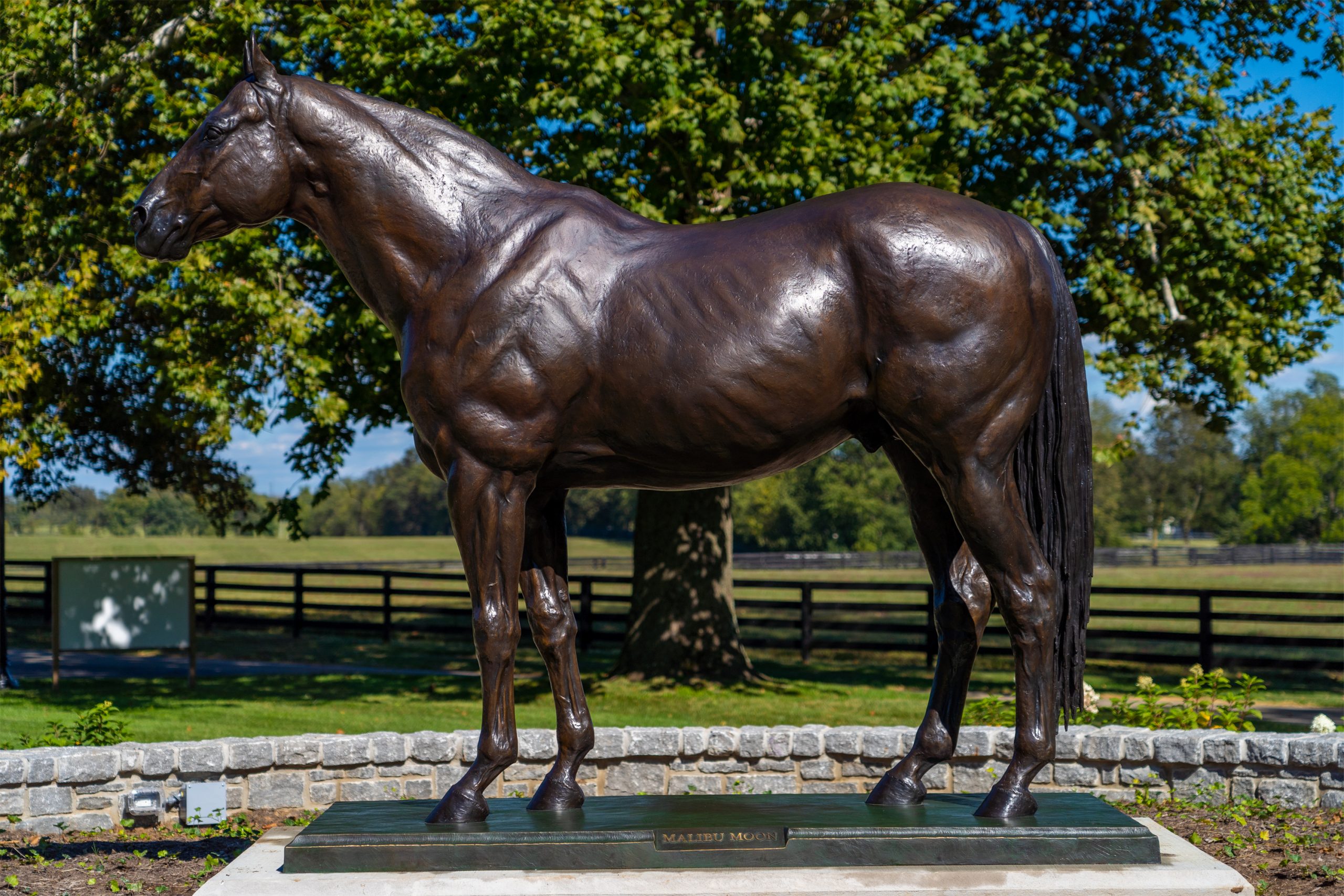 Malibu Moon Memorial Statue Installed at Spendthrift - Past The Wire
