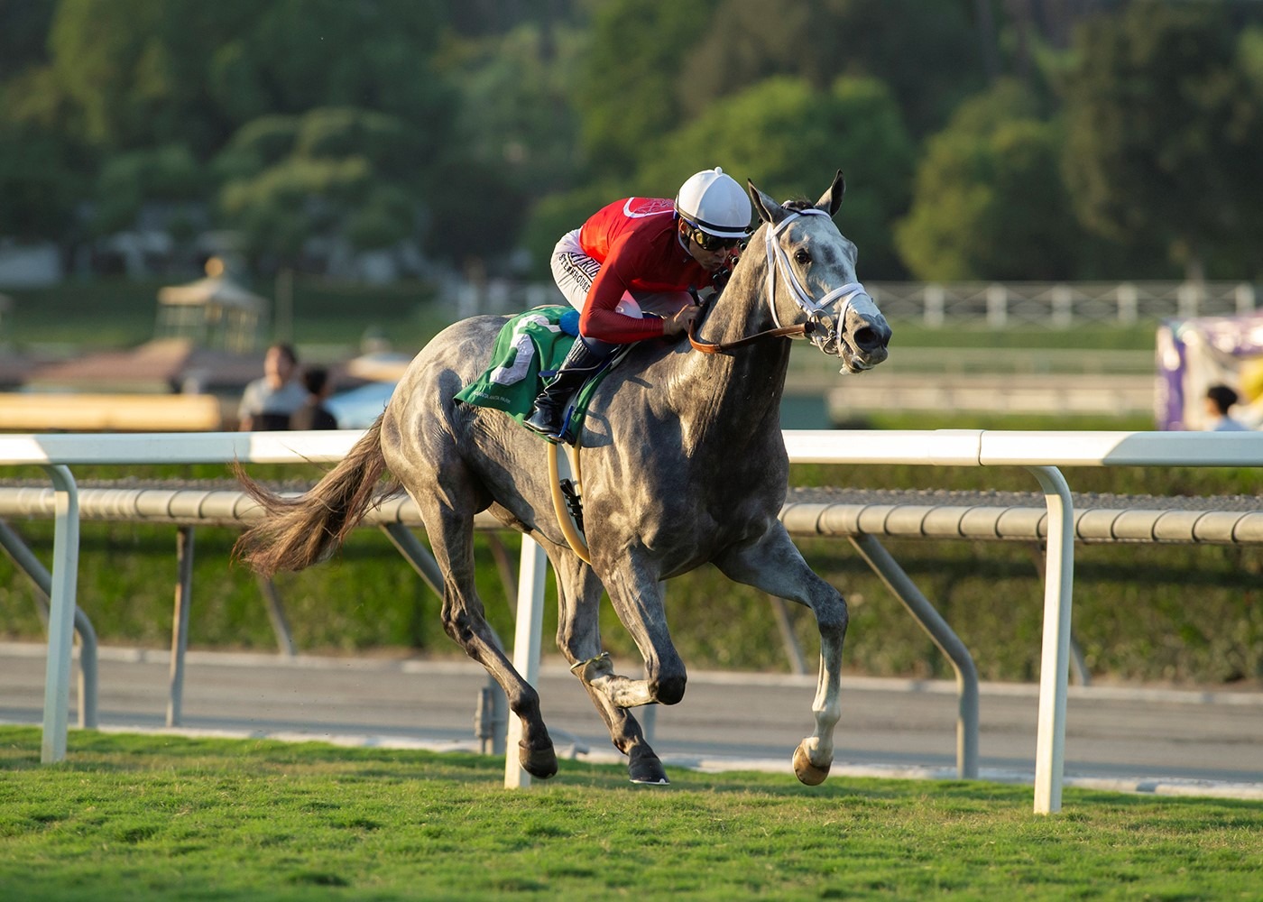 Packs a Wahlop wins Zuma Beach with Long Stride - Past The Wire