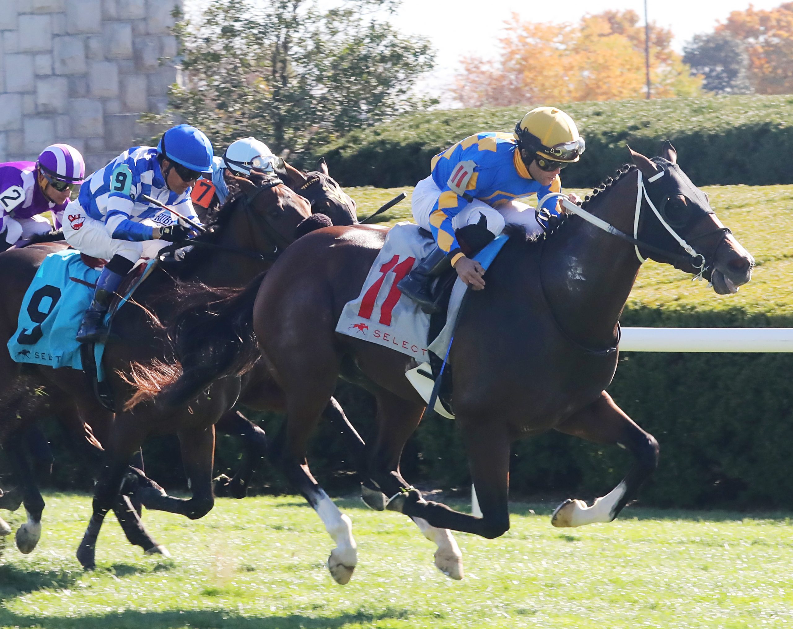Private Creed Swoops in for Indian Summer Win - Past The Wire