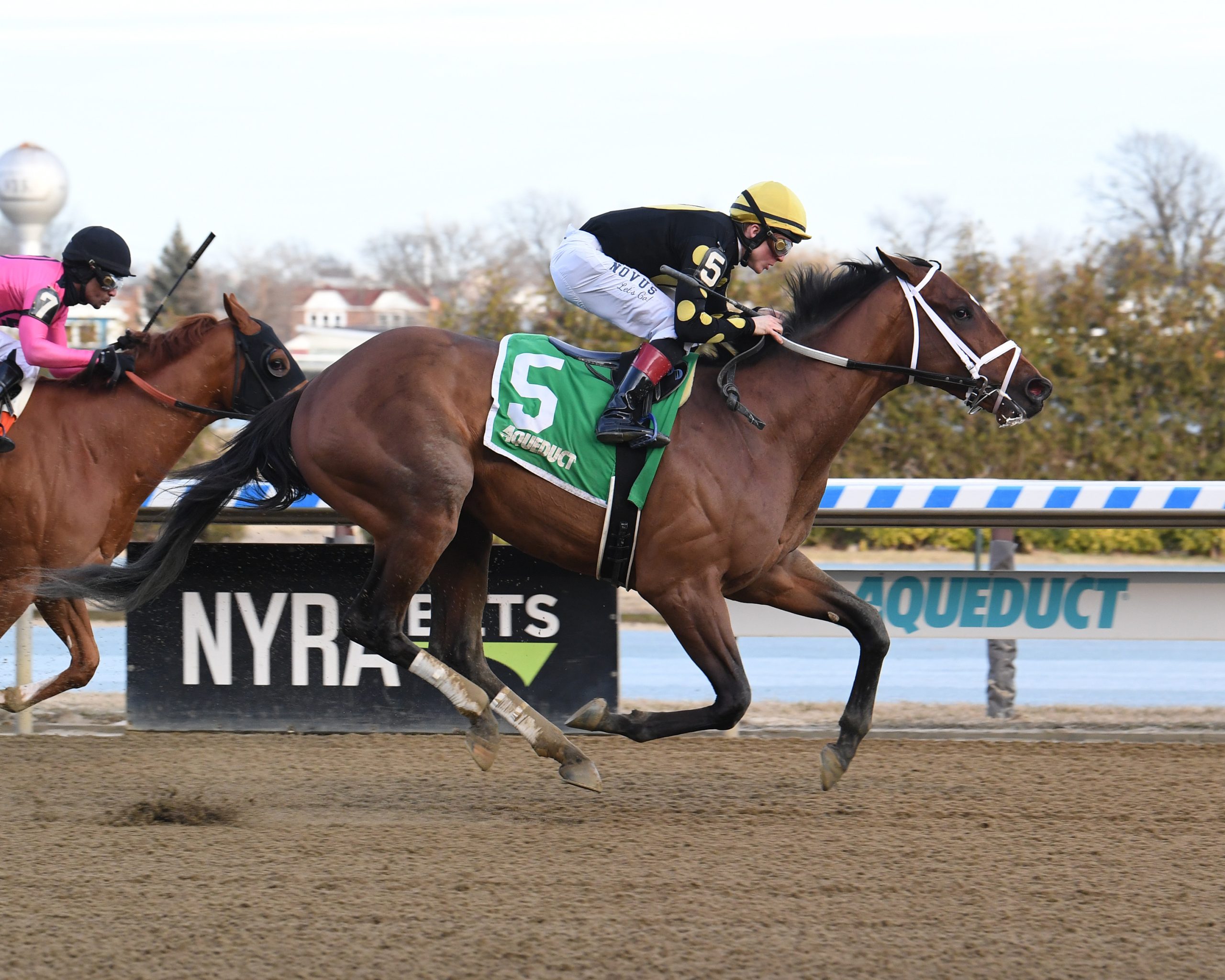 New York-Breds Time To Shine on Annual Empire Showcase Day - Past The Wire