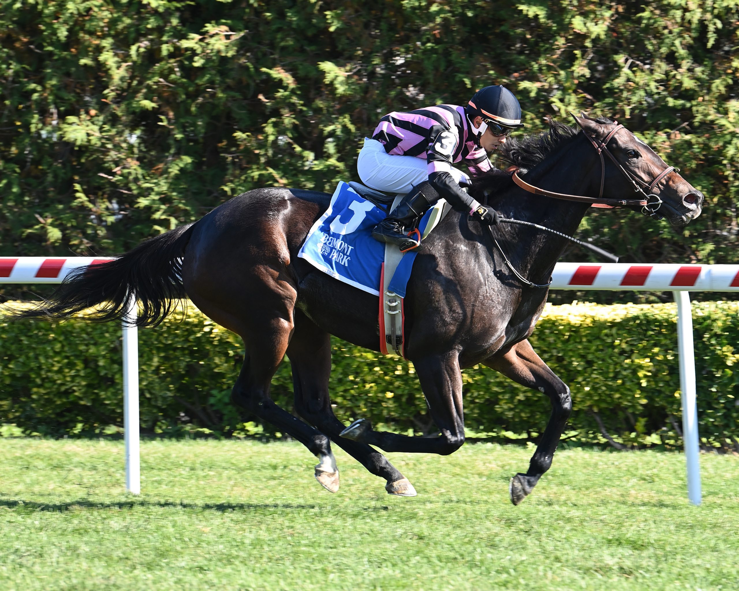 Evvie Jets set to take flight in Forever Together - Past The Wire