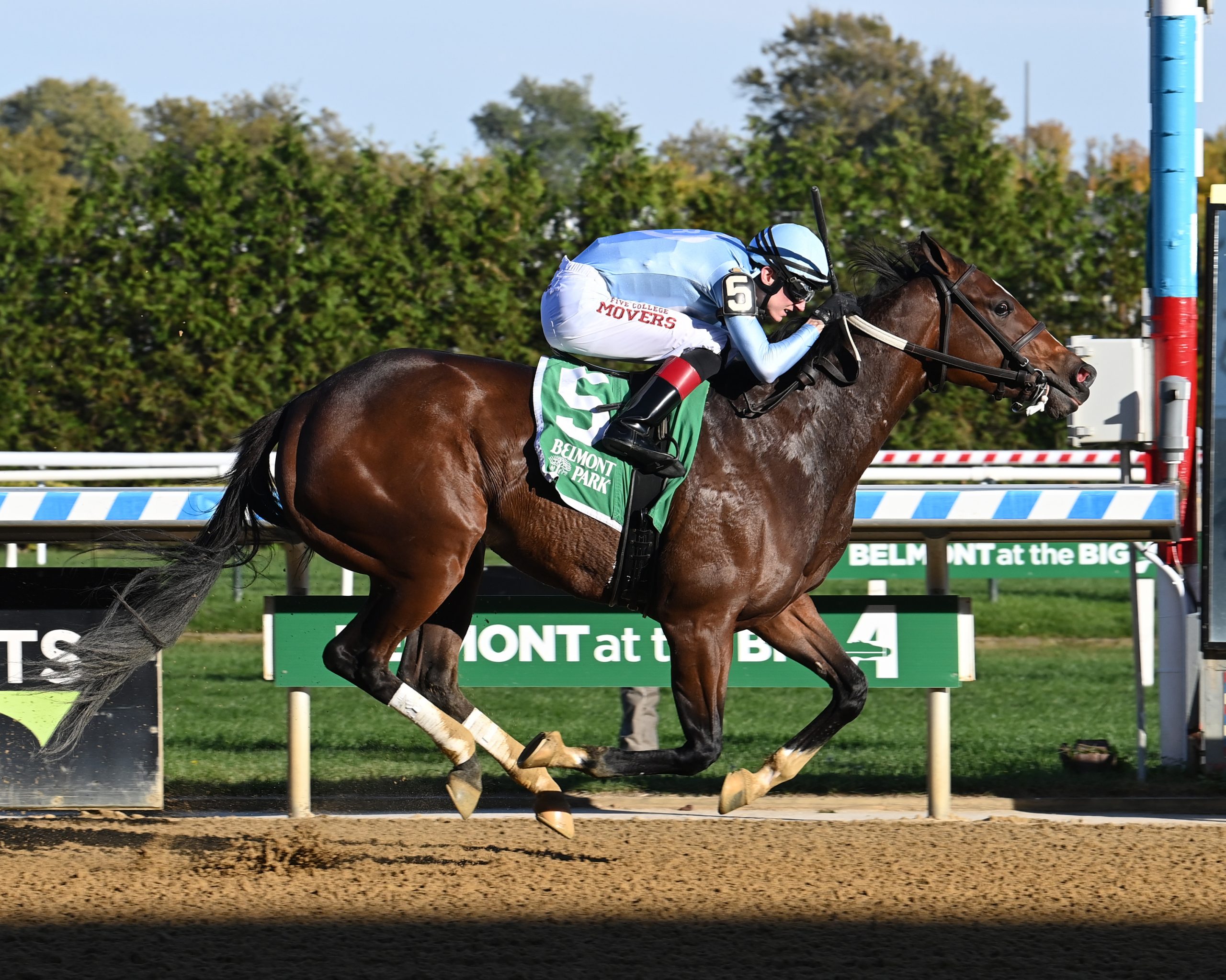 Half Is Enough Scores off the Turf in Glen Cove - Past The Wire
