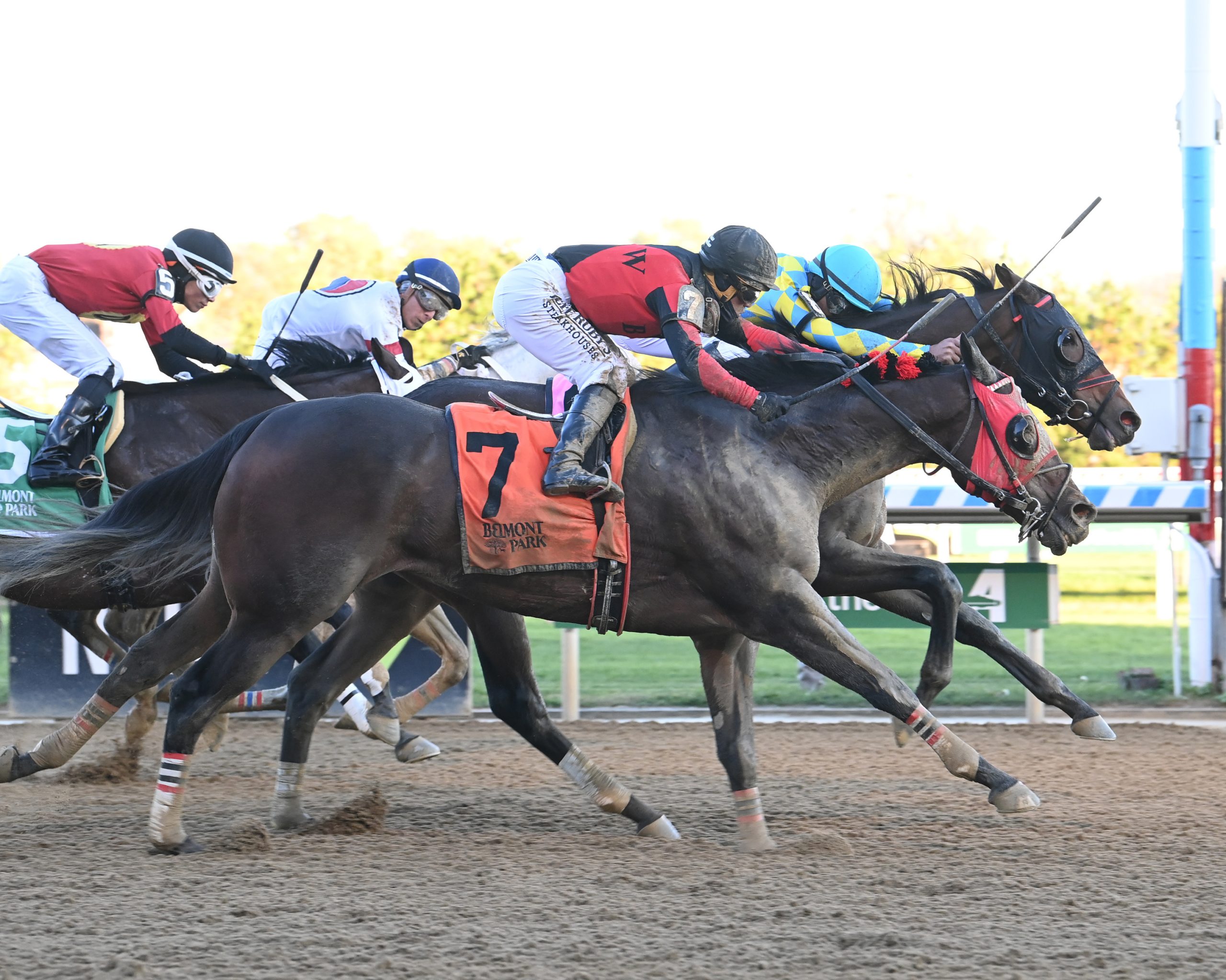 Runninsonofagun Shows Grit in G3 Bold Ruler - Past The Wire