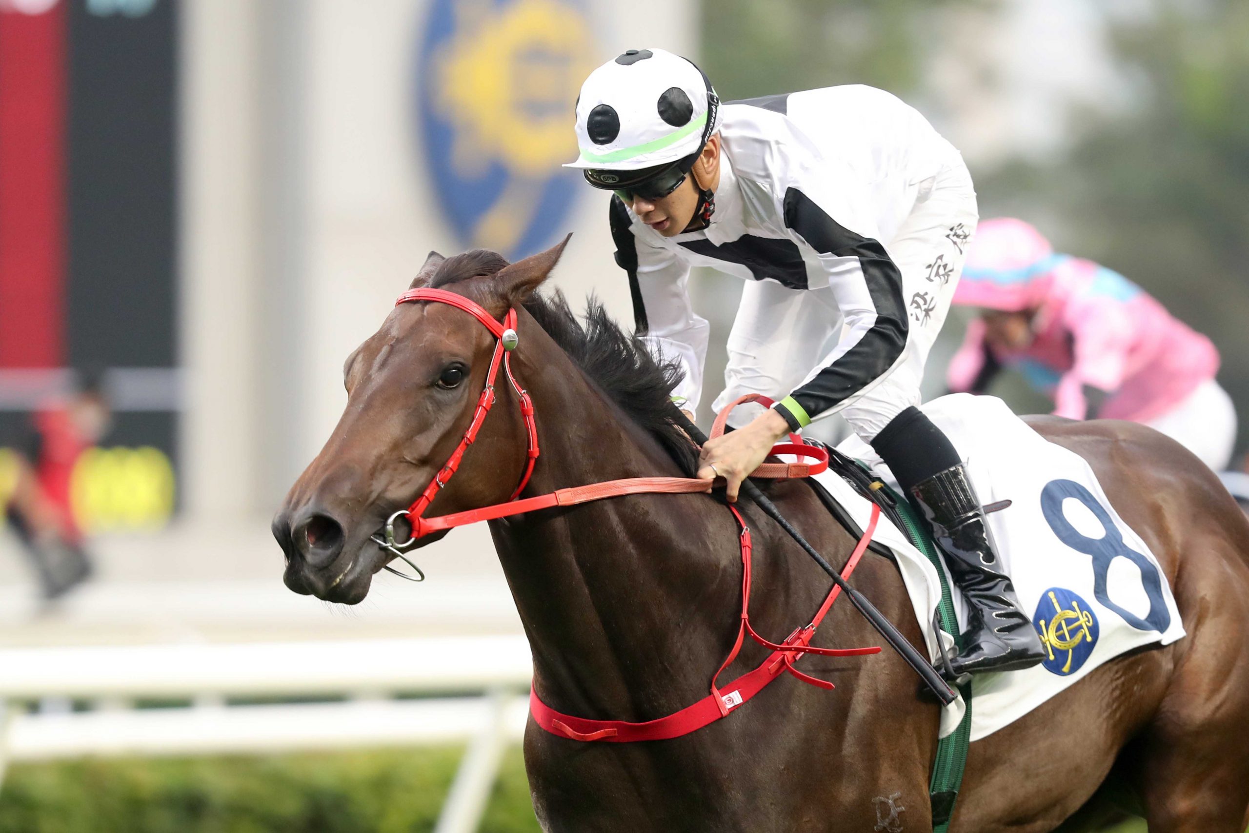 Keefy powers to Chevalier Cup triumph - Past The Wire