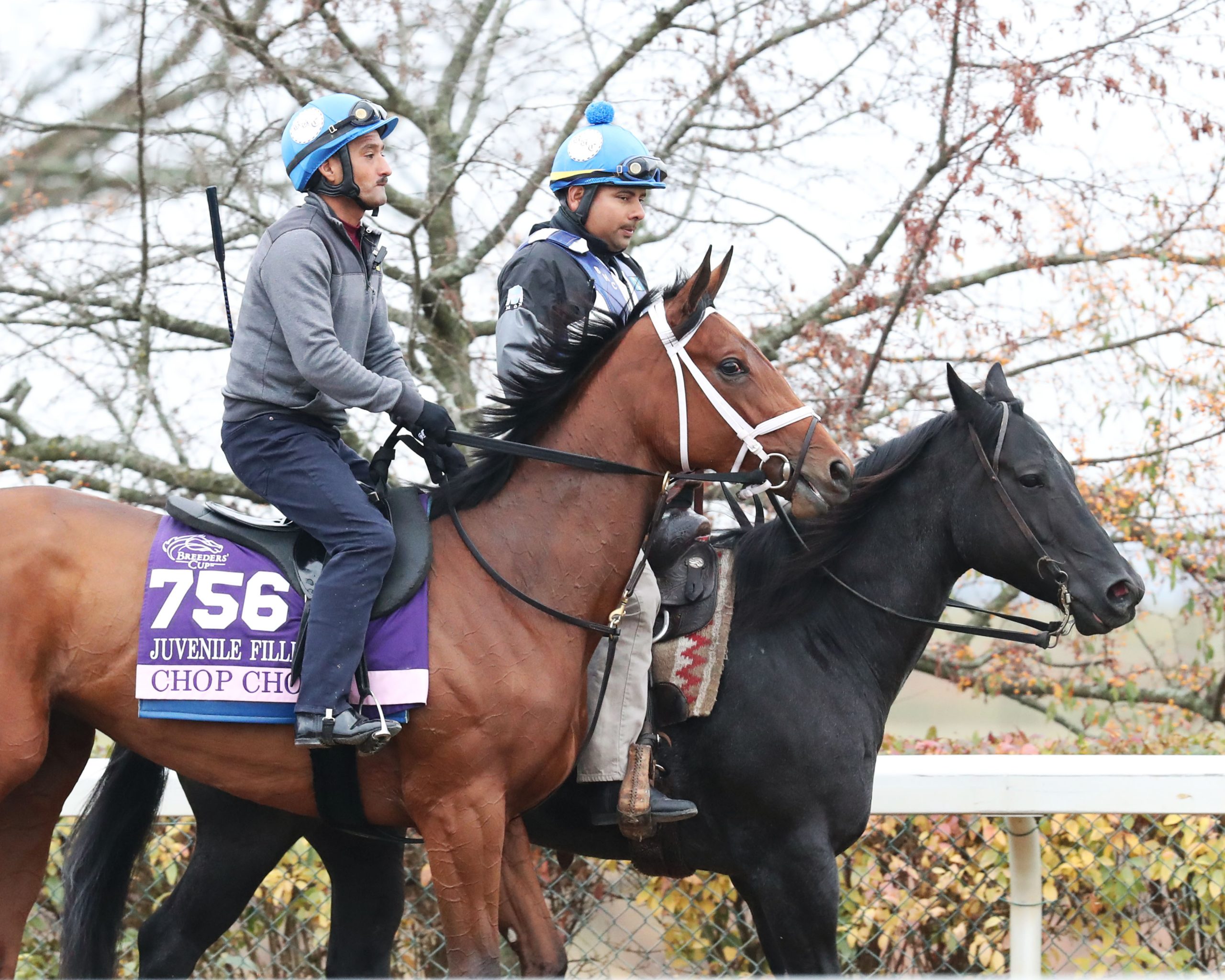 Chop Chop Heads Full Field in NetJets Juvenile Fillies - Past The Wire