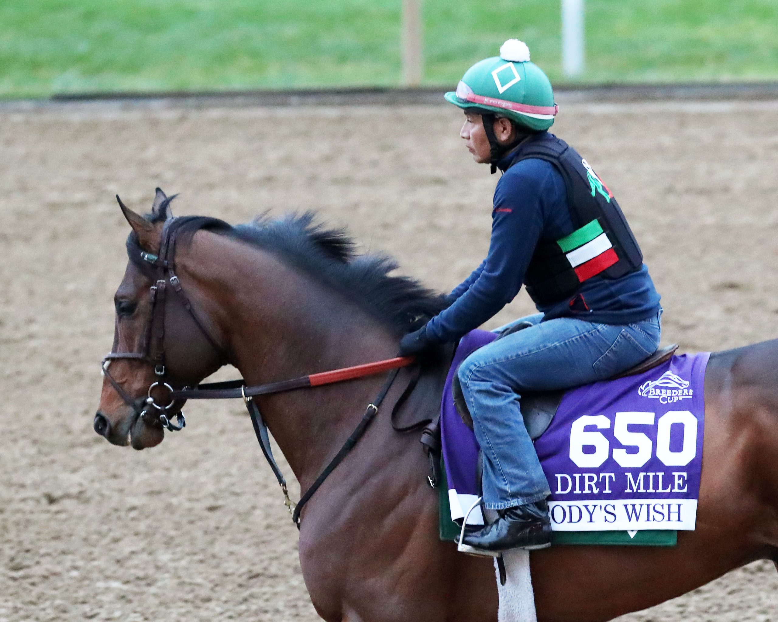 Cody’s Wish Favored in Dirt Mile - Past The Wire