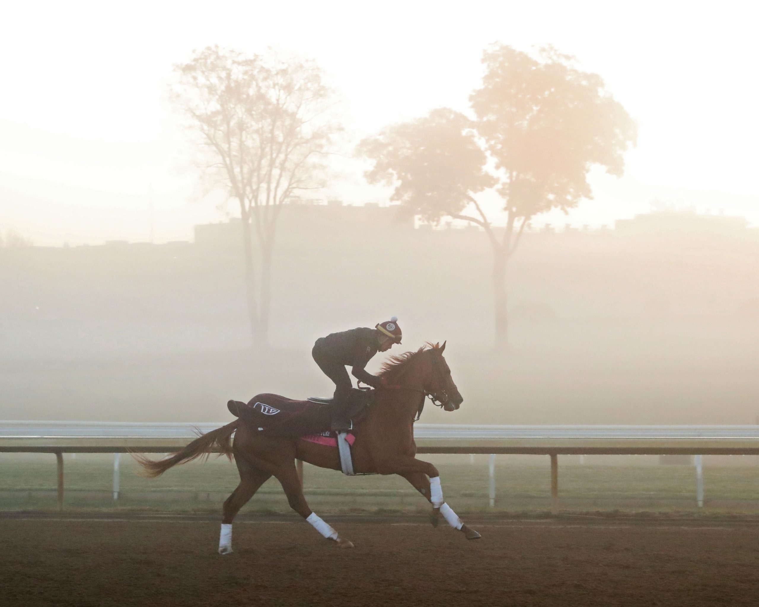 George Strawbridge Jr. is Having a Thoroughly Delight(ful) BC - Past ...