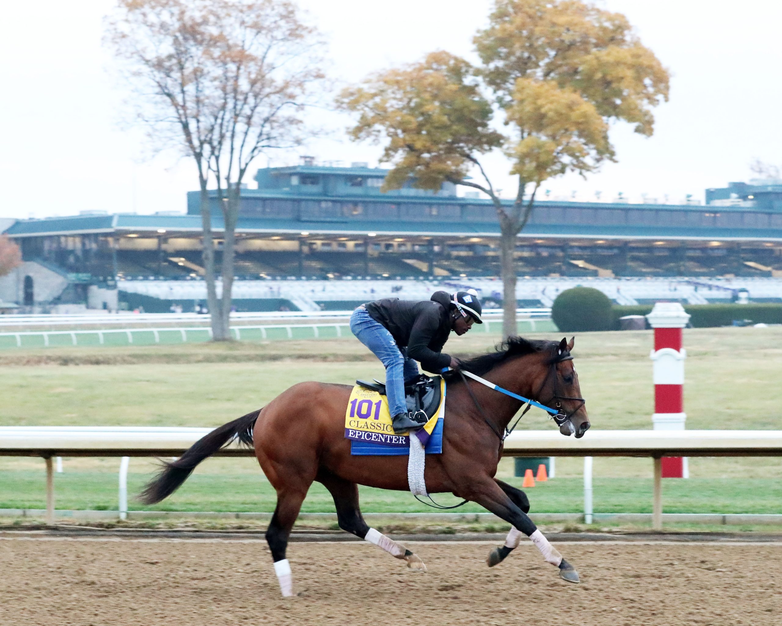 Updates on Epicenter and Domestic Spending - Past The Wire