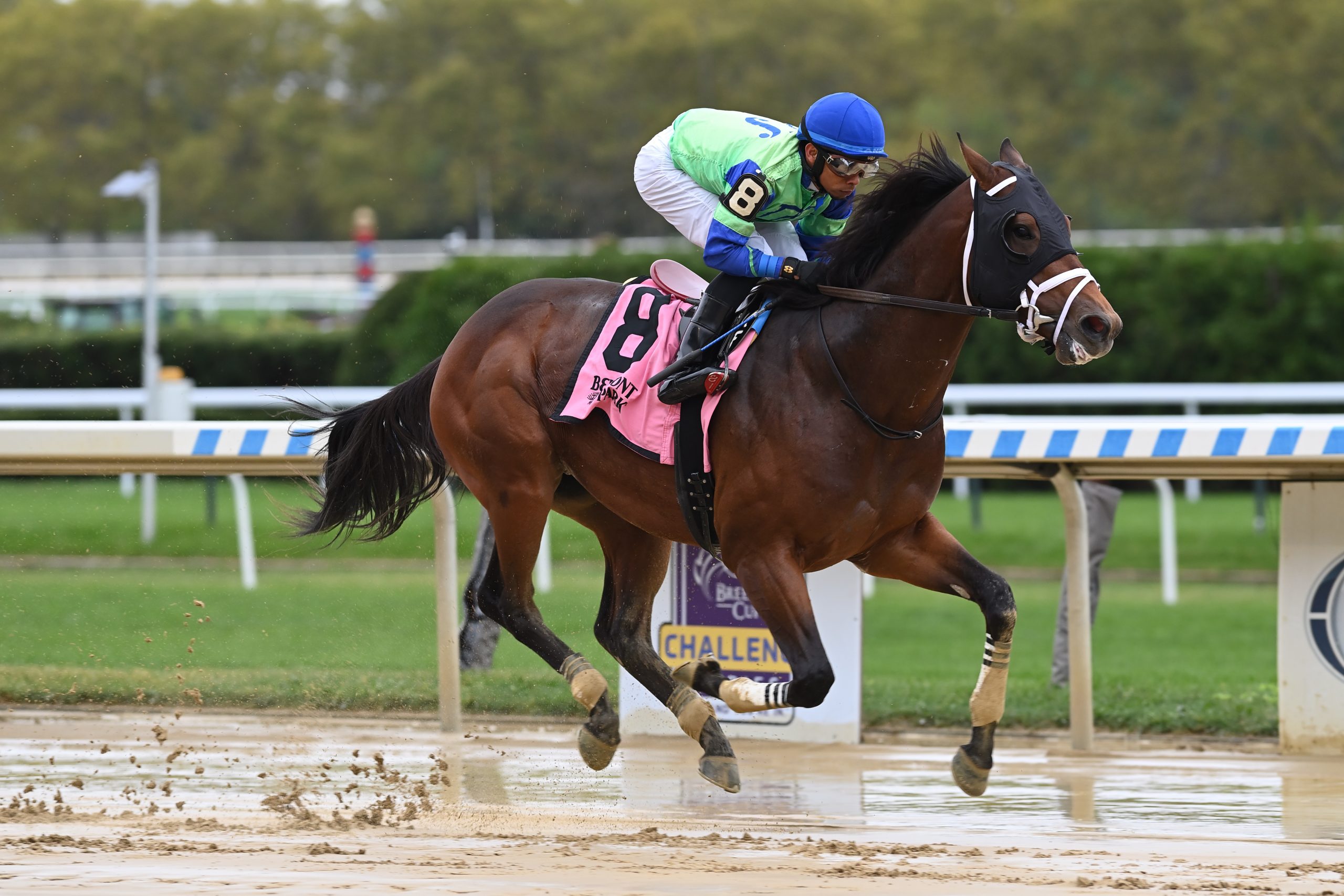 Full Moon Madness Set To Shine in G3 Nashua - Past The Wire