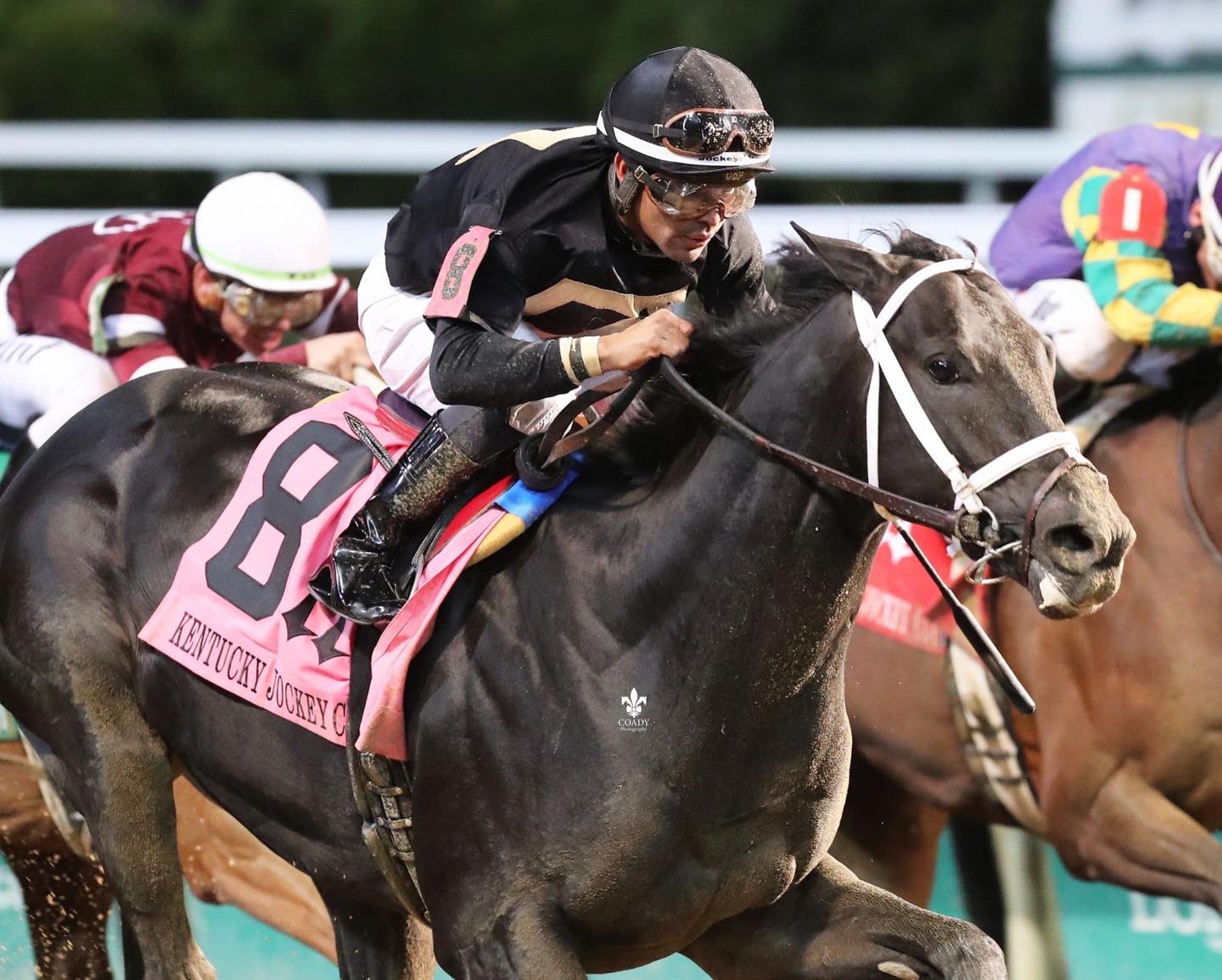 Instant Coffee percolates in GII Kentucky Jockey Club - Past The Wire