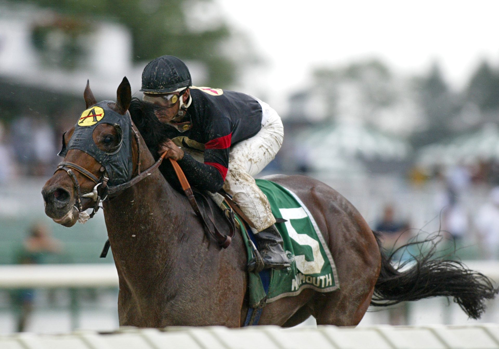 A Classic Legacy, Part 2: Awesome Again, Ghostzapper and Frank Stronach ...