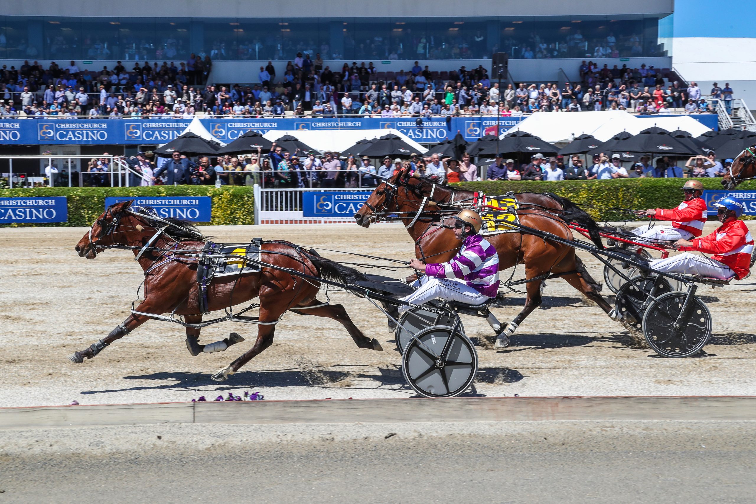Sky Racing World Announces Commingling of New Zealand Harness Racing ...