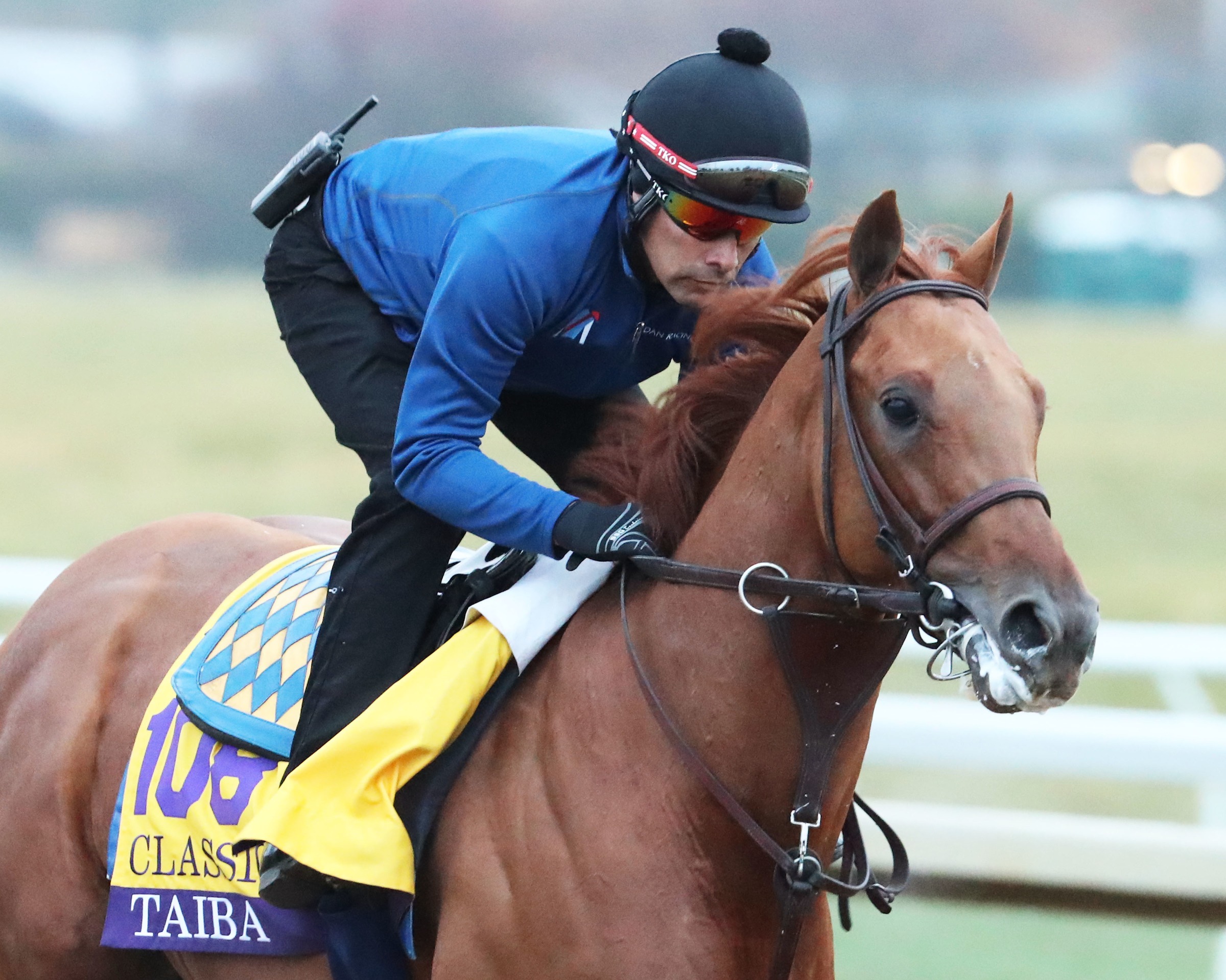 Breeders’ Cup 2022: Taiba vs Flightline in The Classic. Can Taiba ...