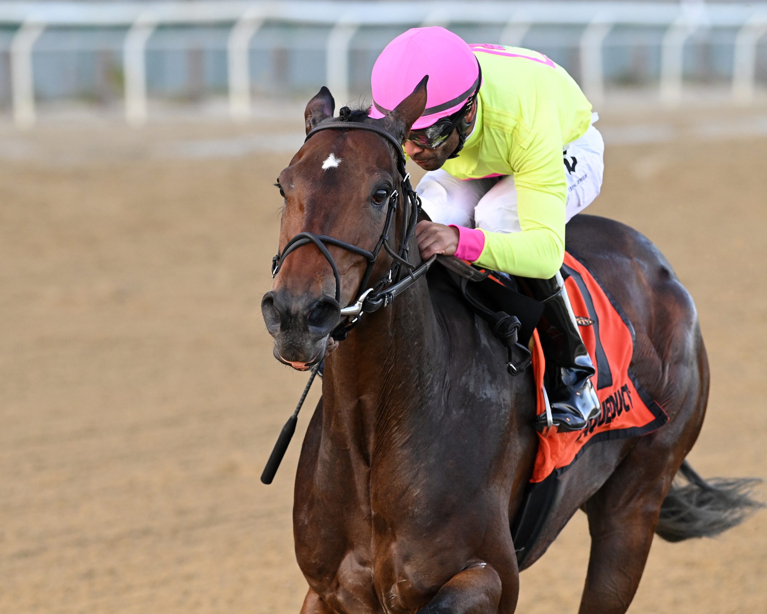 Battle Bling Streaks Into G3 Go For Wand - Past The Wire