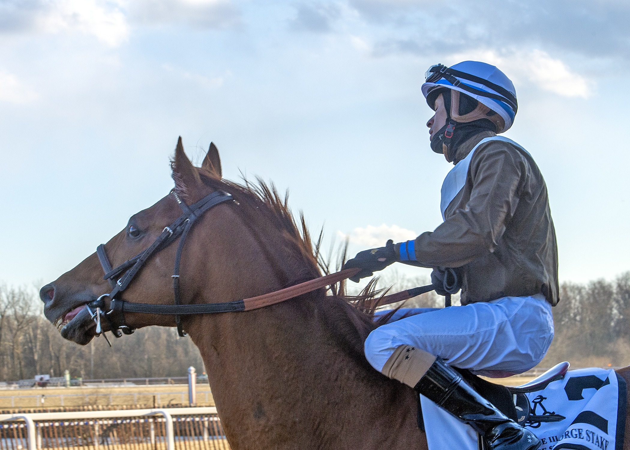 MJC at Laurel: G3 Winner Cordmaker Chasing $1 Million Mark in Friday ...