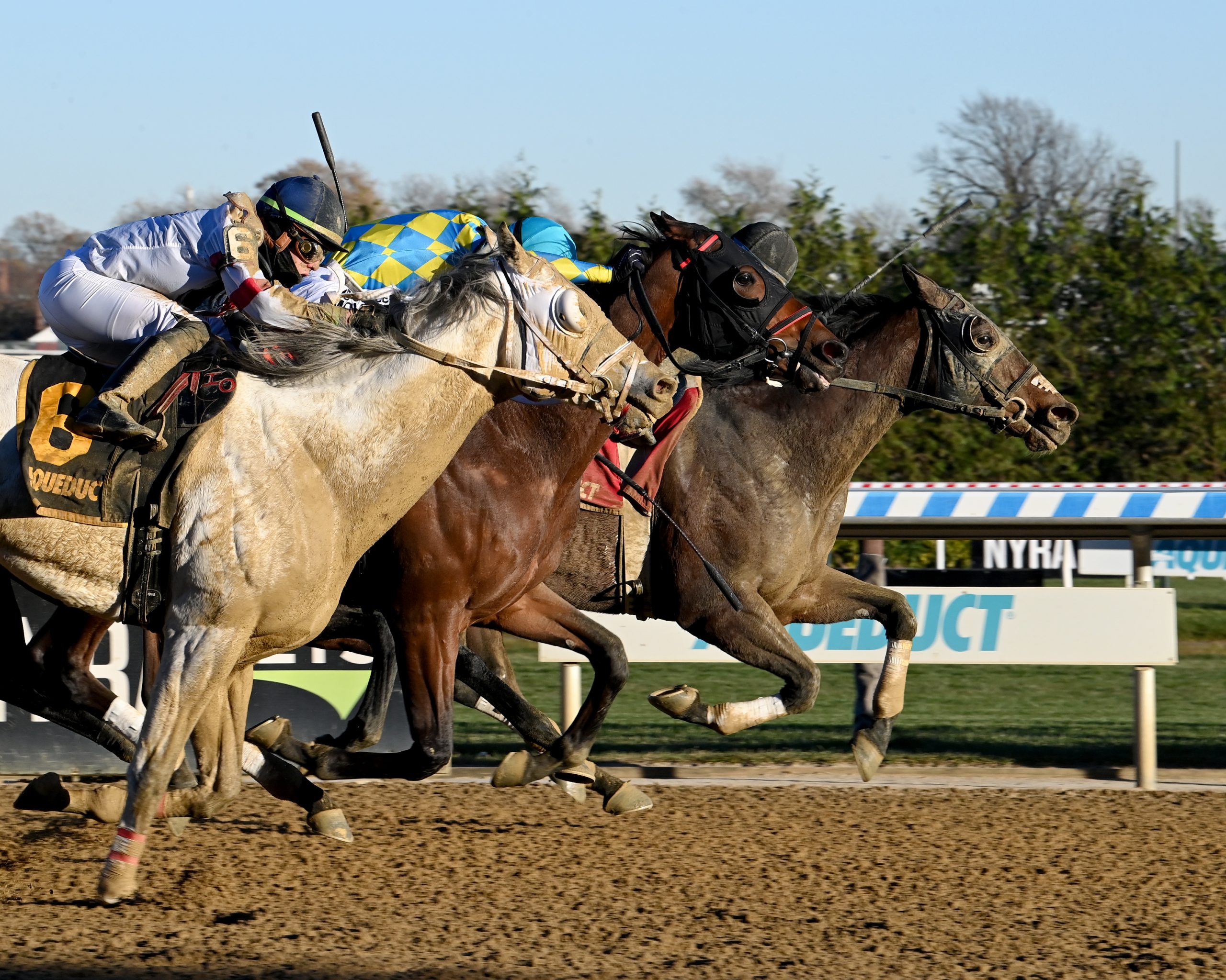 3 Reasons Capital OTB Is a Top Sportsbook for the Major Horse Racing ...