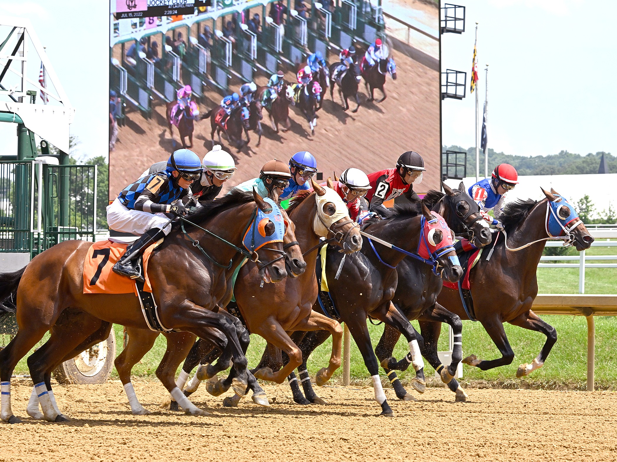 3YO Filly Baby Man makes Stakes Debut off Two-Win Streak - Past The Wire