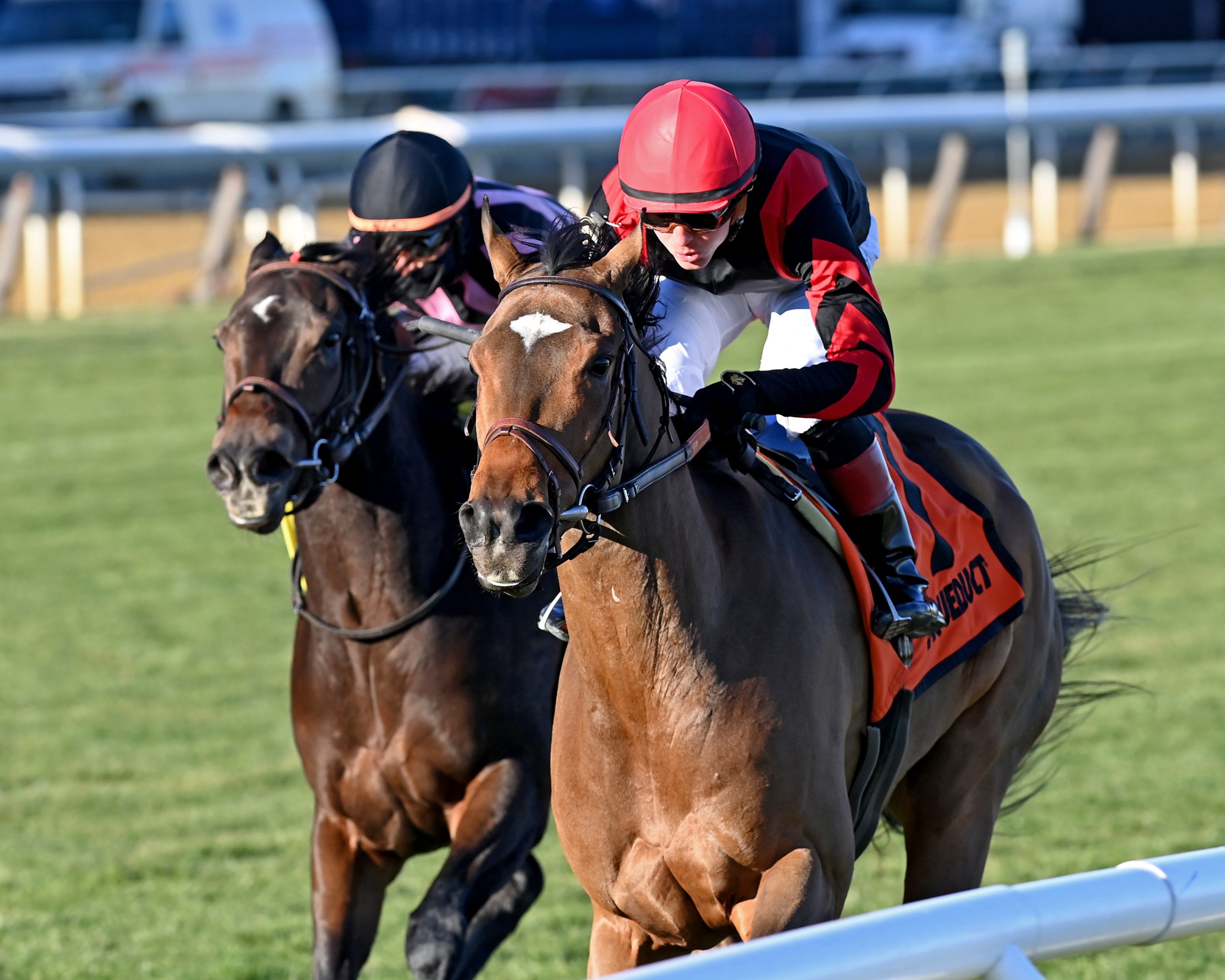 Best of 2022: Dylan Davis - Past The Wire