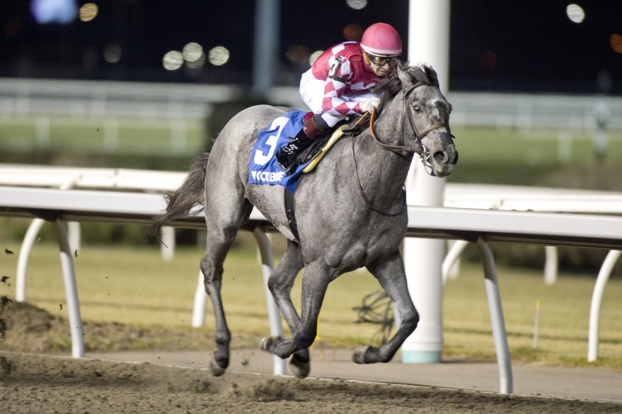 Renegade Rebel Holds on To Win G3 Mazarine - Past The Wire