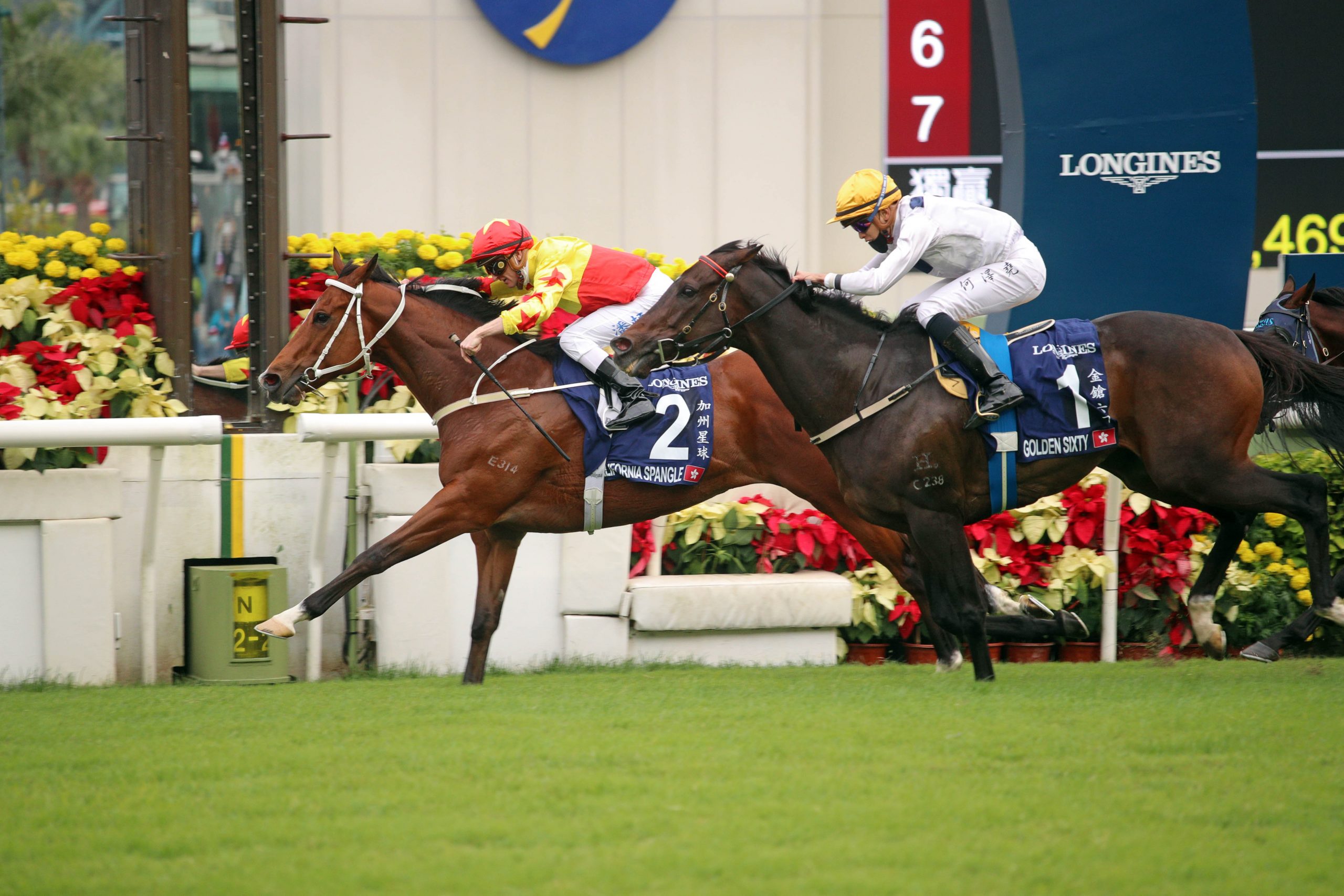 Longines Hong Kong Mile Jockey Quotes - Past The Wire