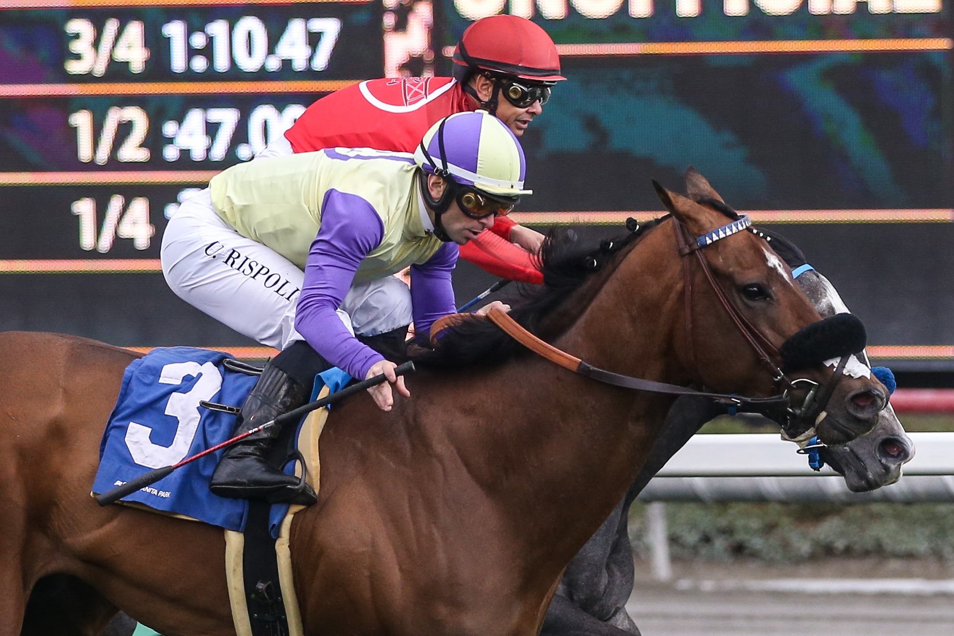 Classical Cat All Heart in $100K Eddie Logan - Past The Wire