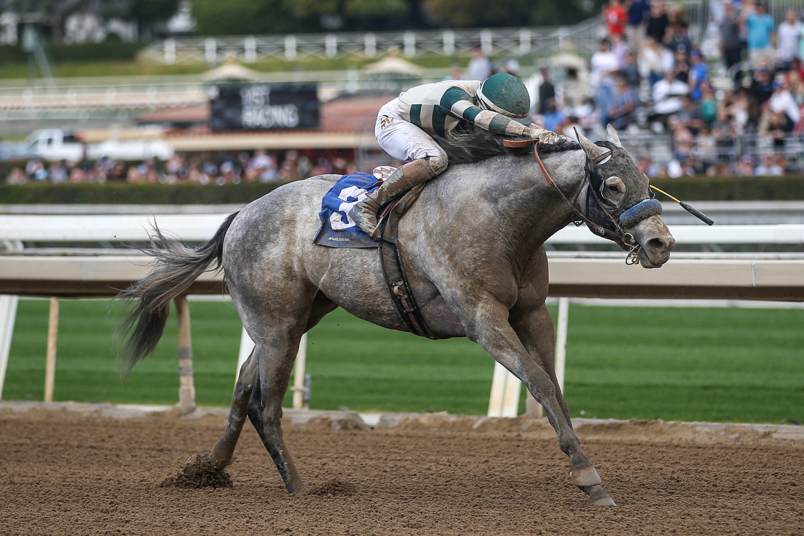 Faustin, a Colt To Keep an Eye On - Past The Wire