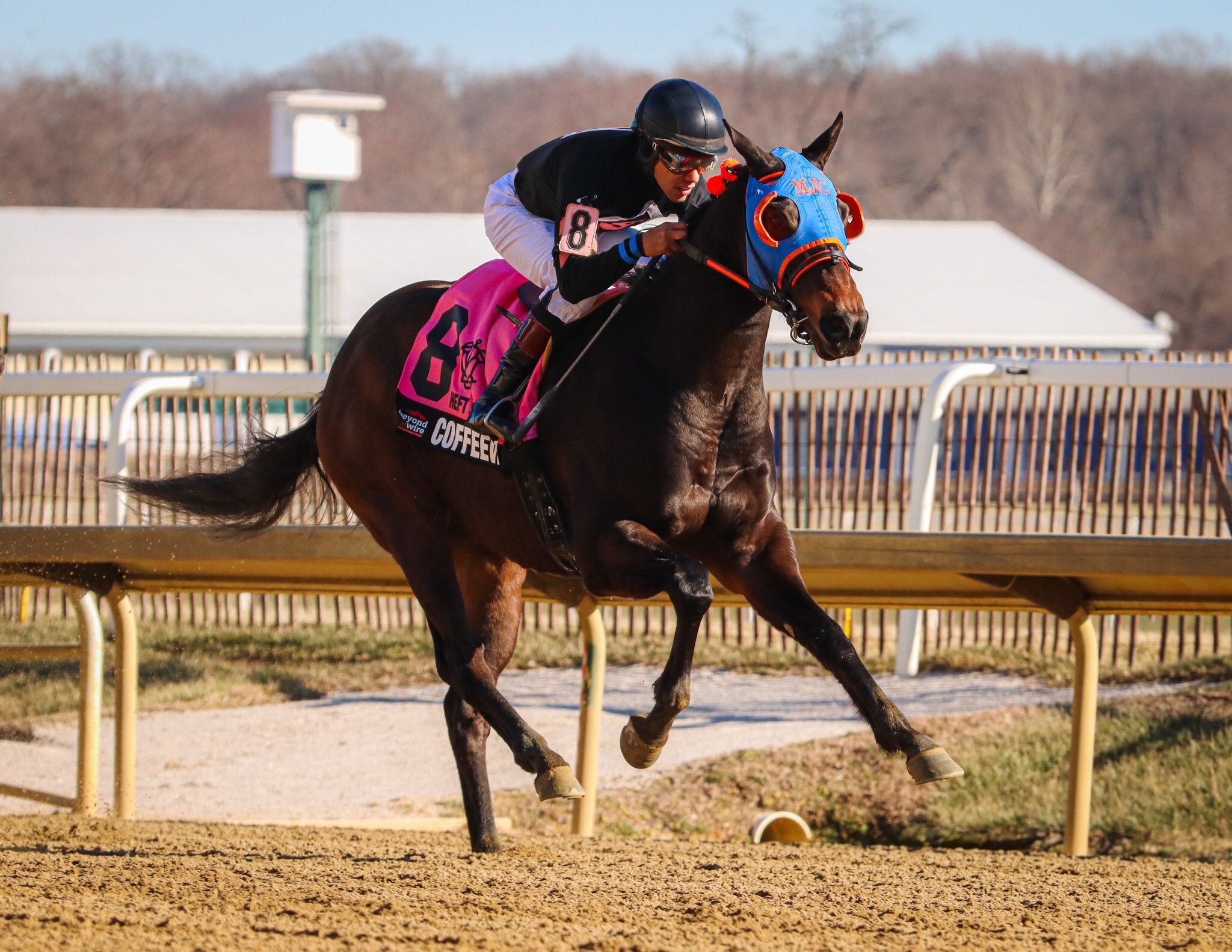 Coffeewithchris Brews Up 16-1 Upset in $100,000 Heft - Past The Wire