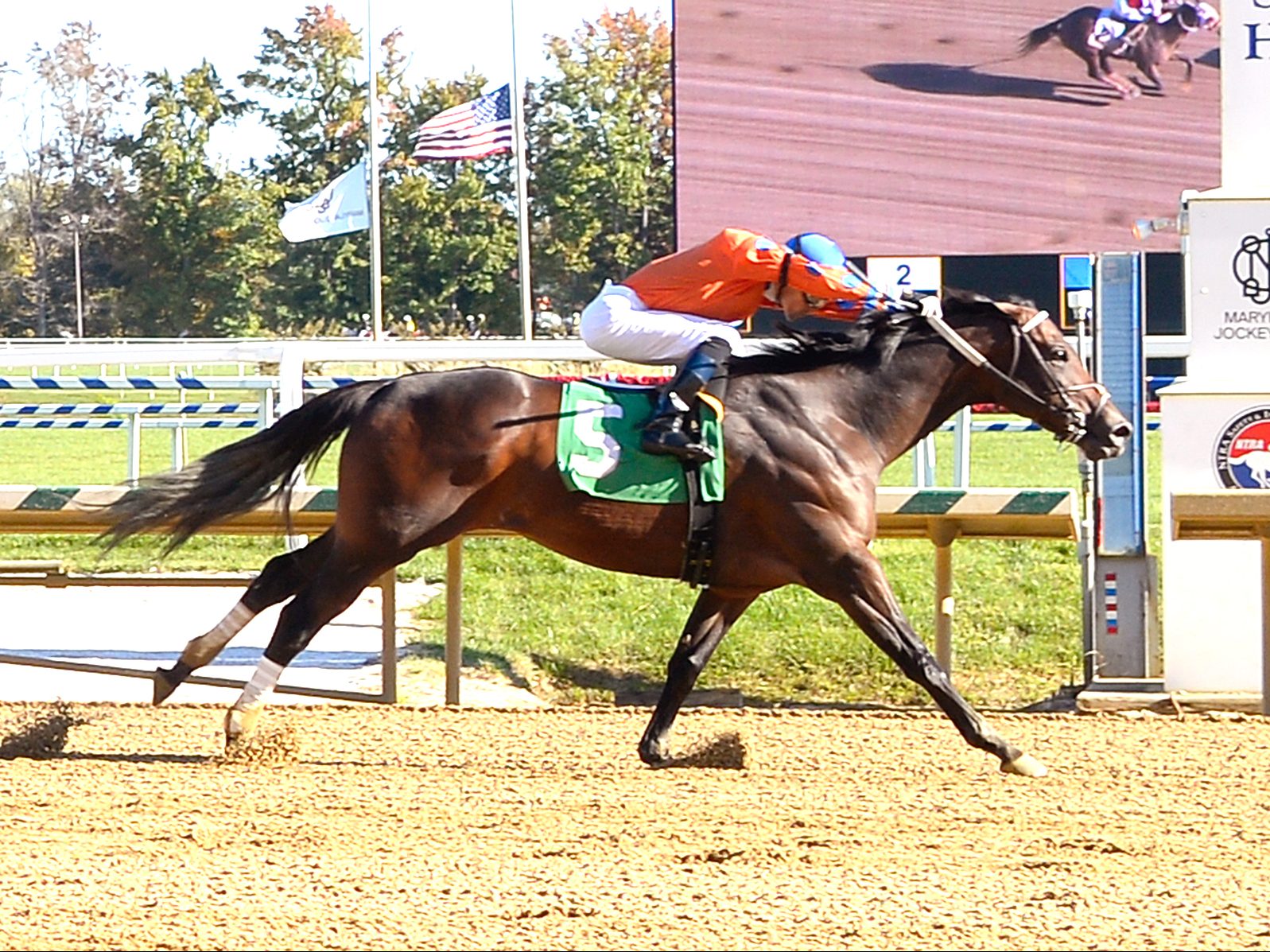 Combat Queen Royally Strives for Three Straight - Past The Wire