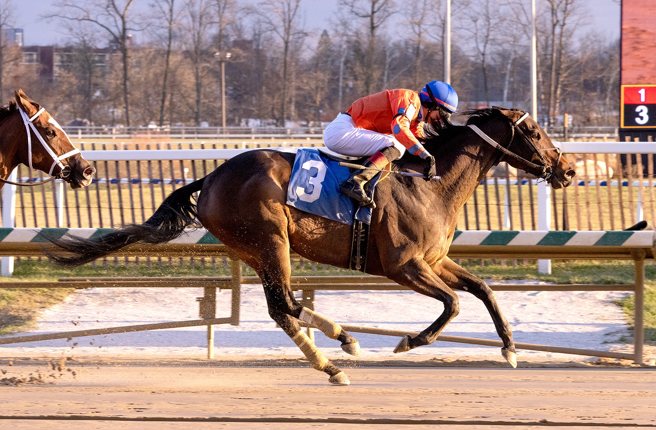 Combat Queen Resolute in Third Consecutive Victory - Past The Wire