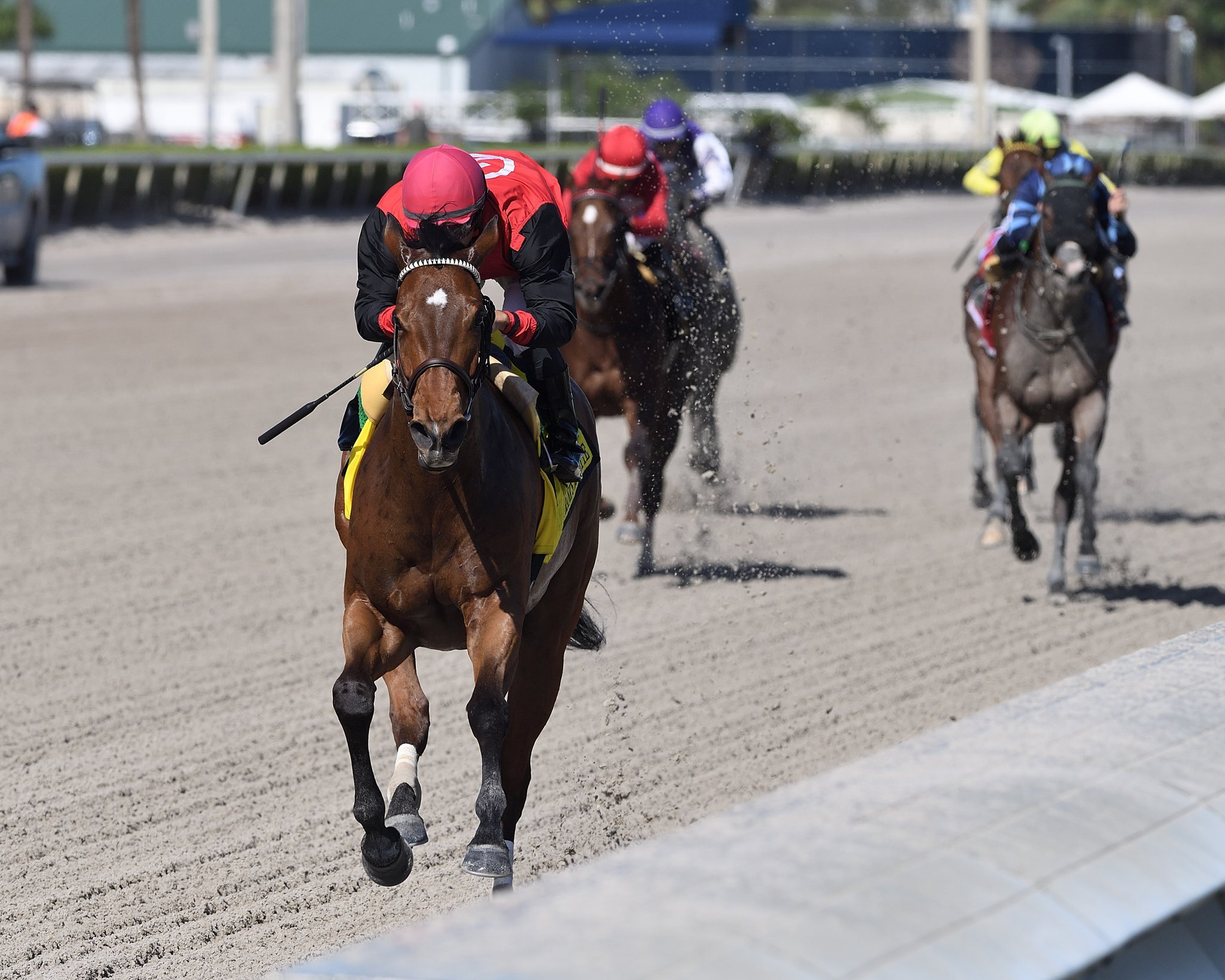 Frank’s Rockette Crushes Rivals in G3 Sugar Swirl - Past The Wire