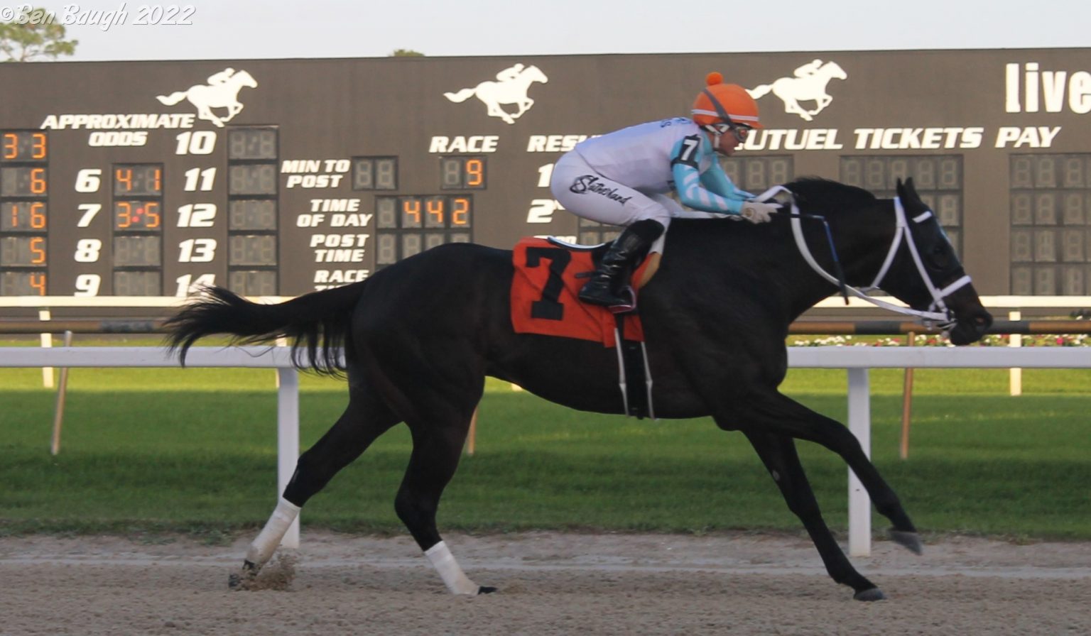 Super Chow Devours Competition in Inaugural Stakes - Past The Wire